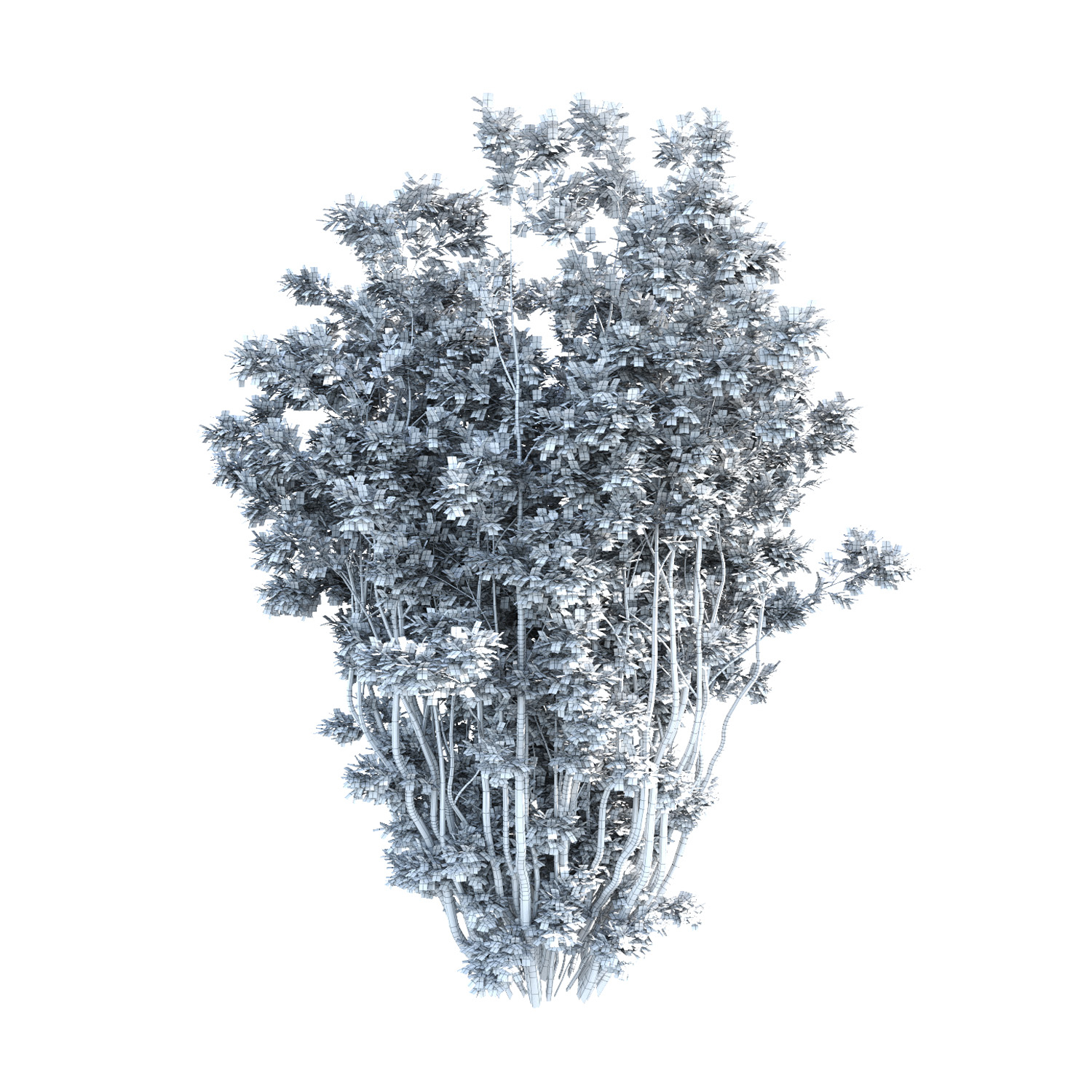 3d model bushes 2