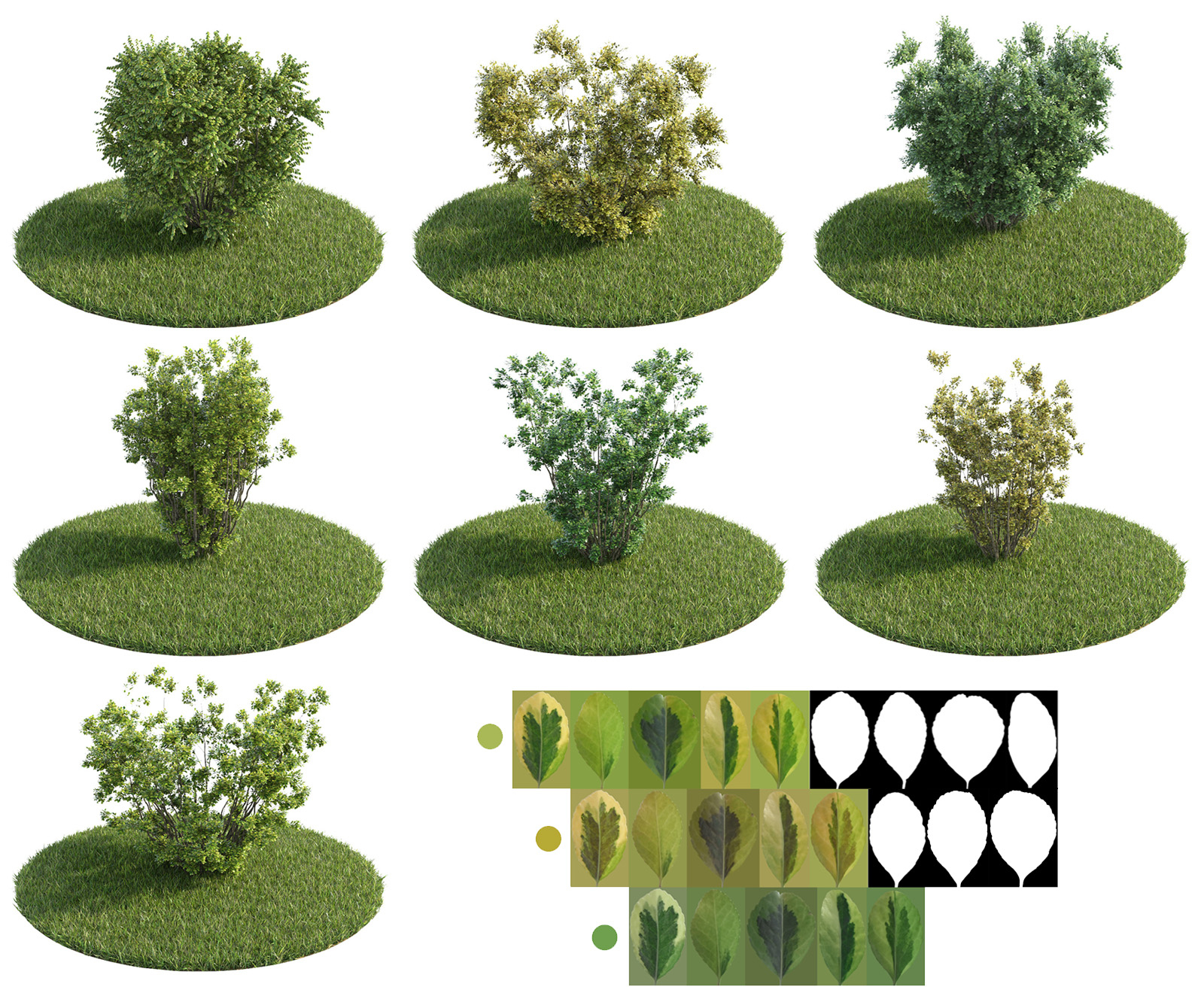 3d model bushes 2