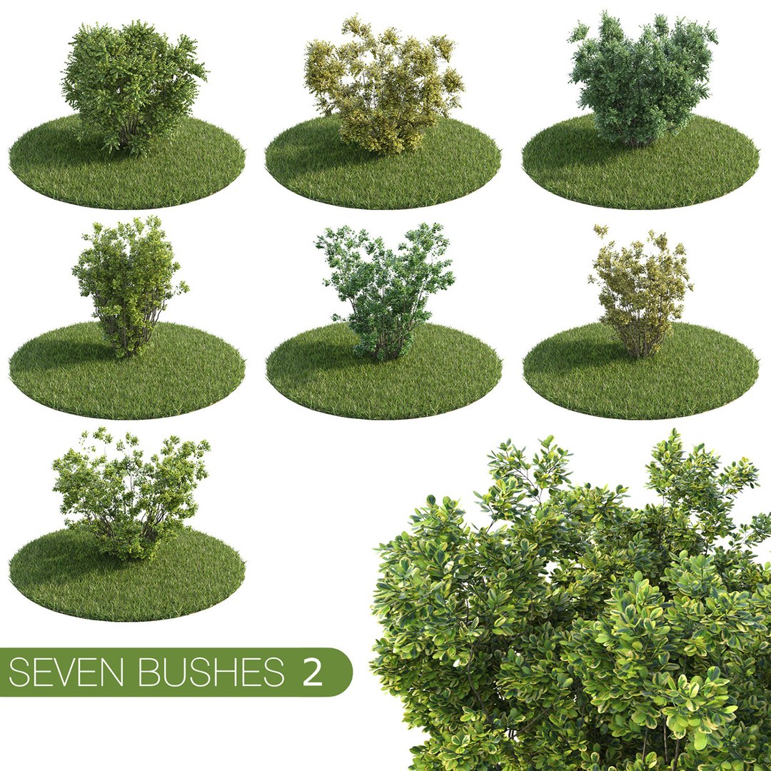 3d Model Bushes 2