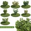 3d Model Bushes 2