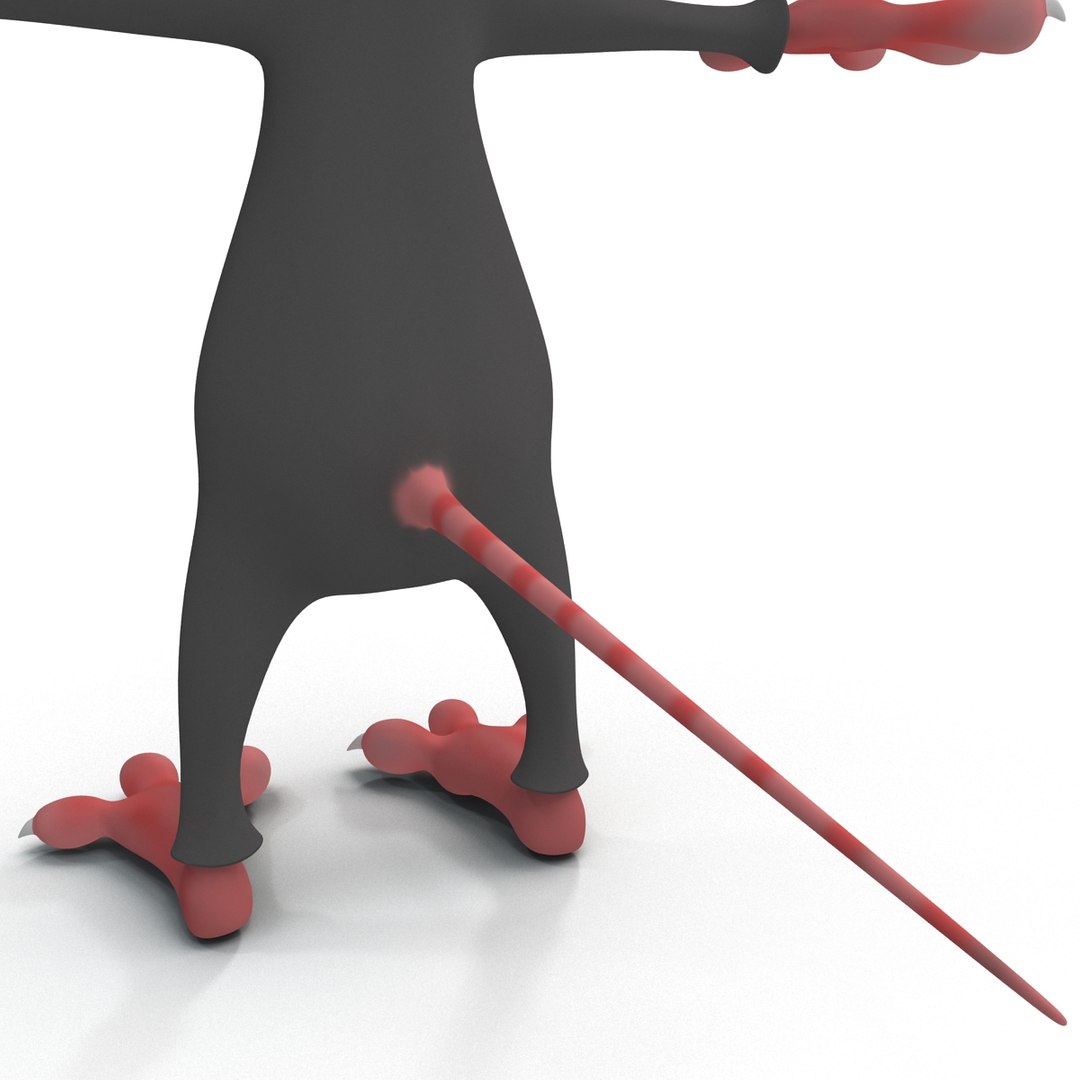 3d Model Cartoon Rat