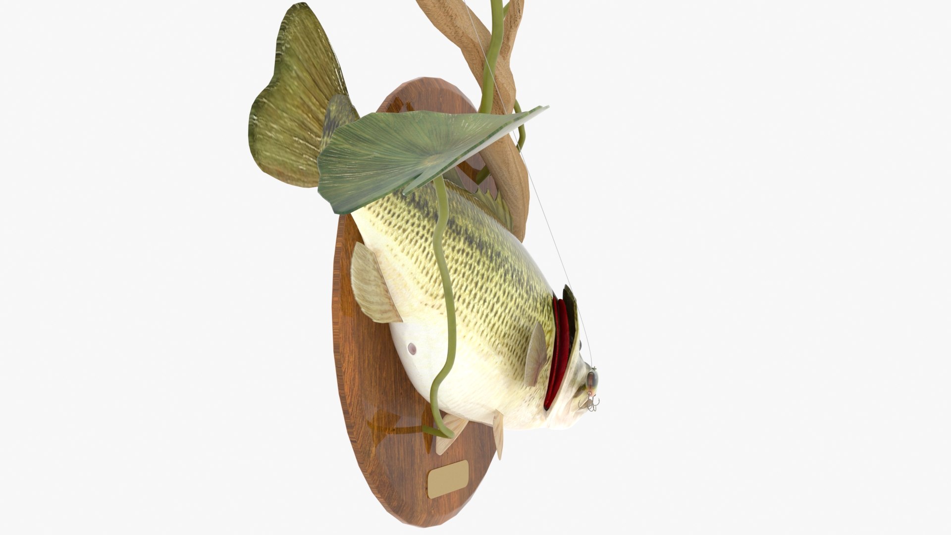 3D Largemouth Bass Mount Model - TurboSquid 1821008
