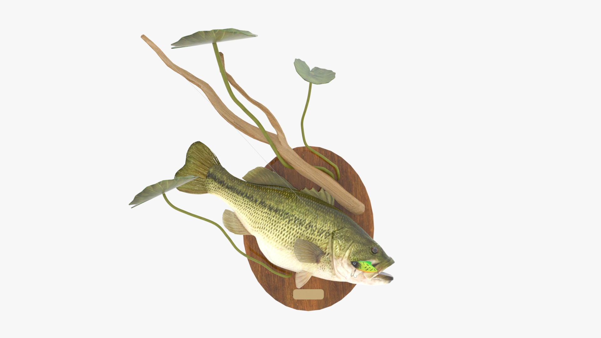 3D Largemouth Bass Mount Model - TurboSquid 1821008