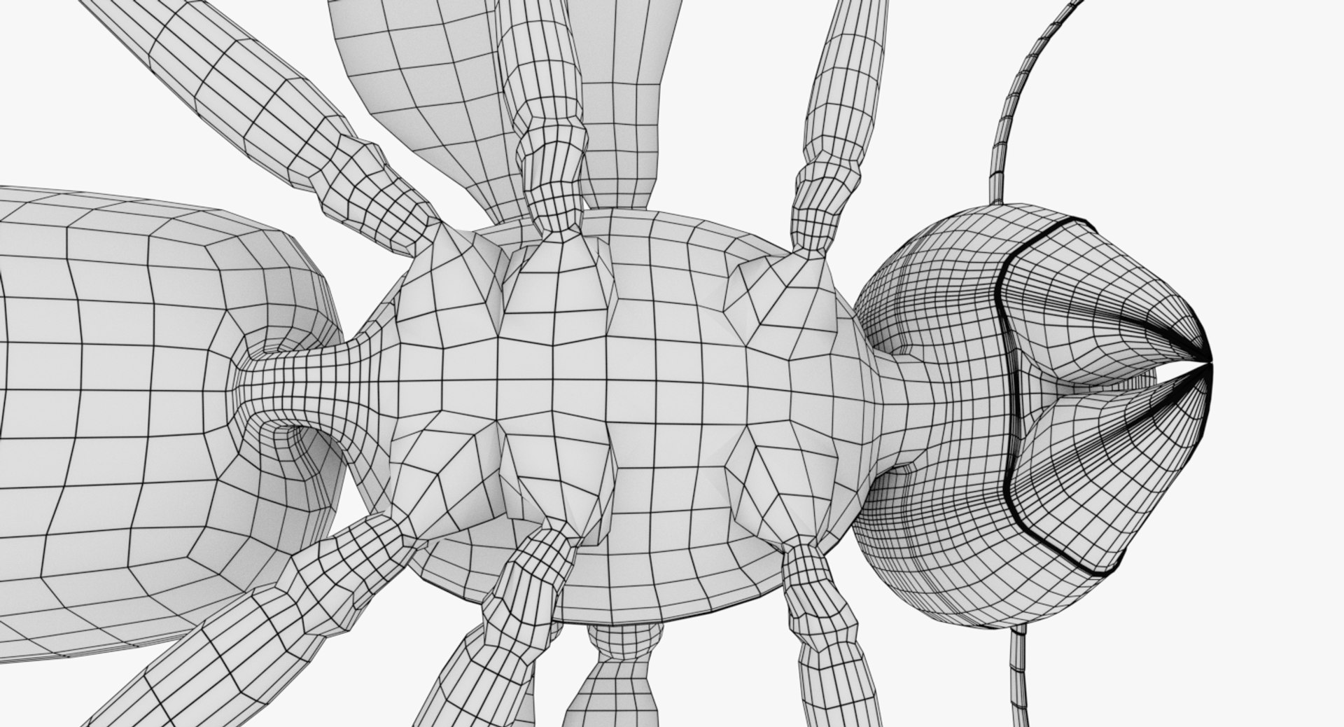 European hornet 3D model - TurboSquid 1266416