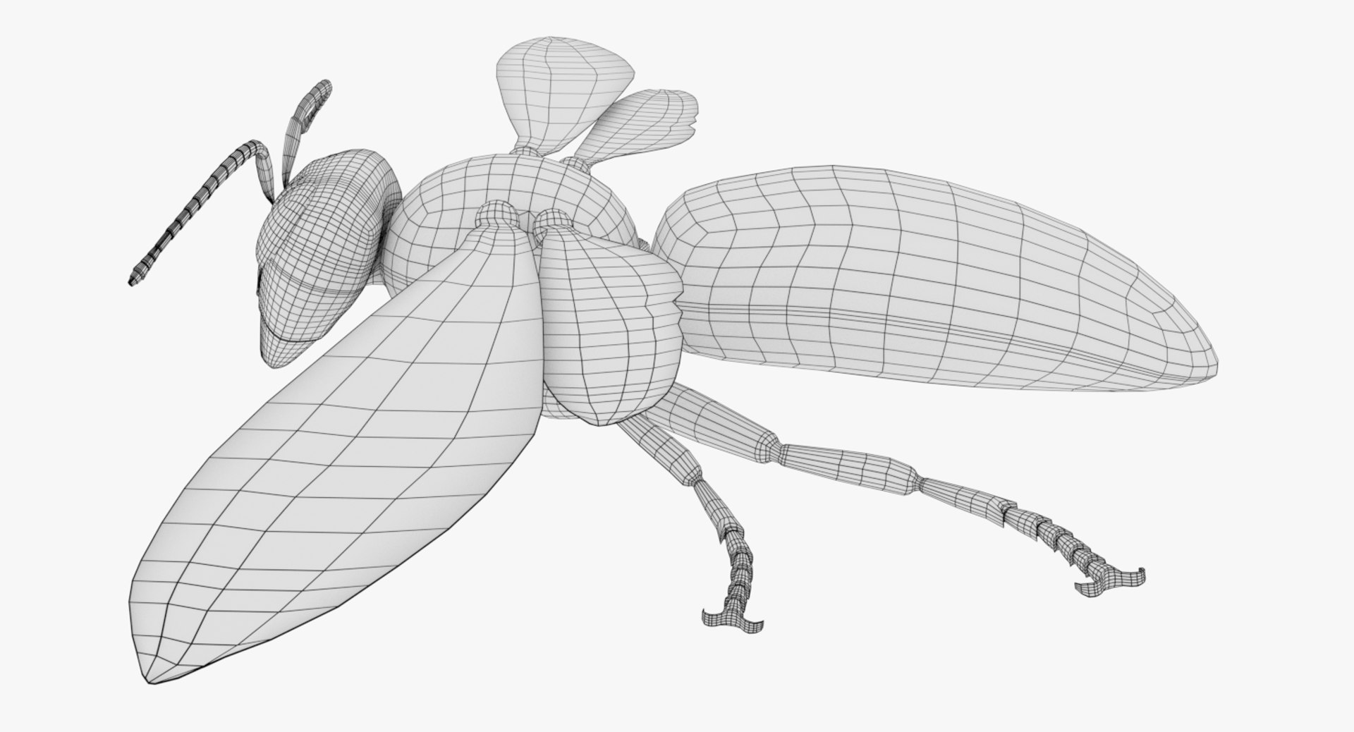 European hornet 3D model - TurboSquid 1266416
