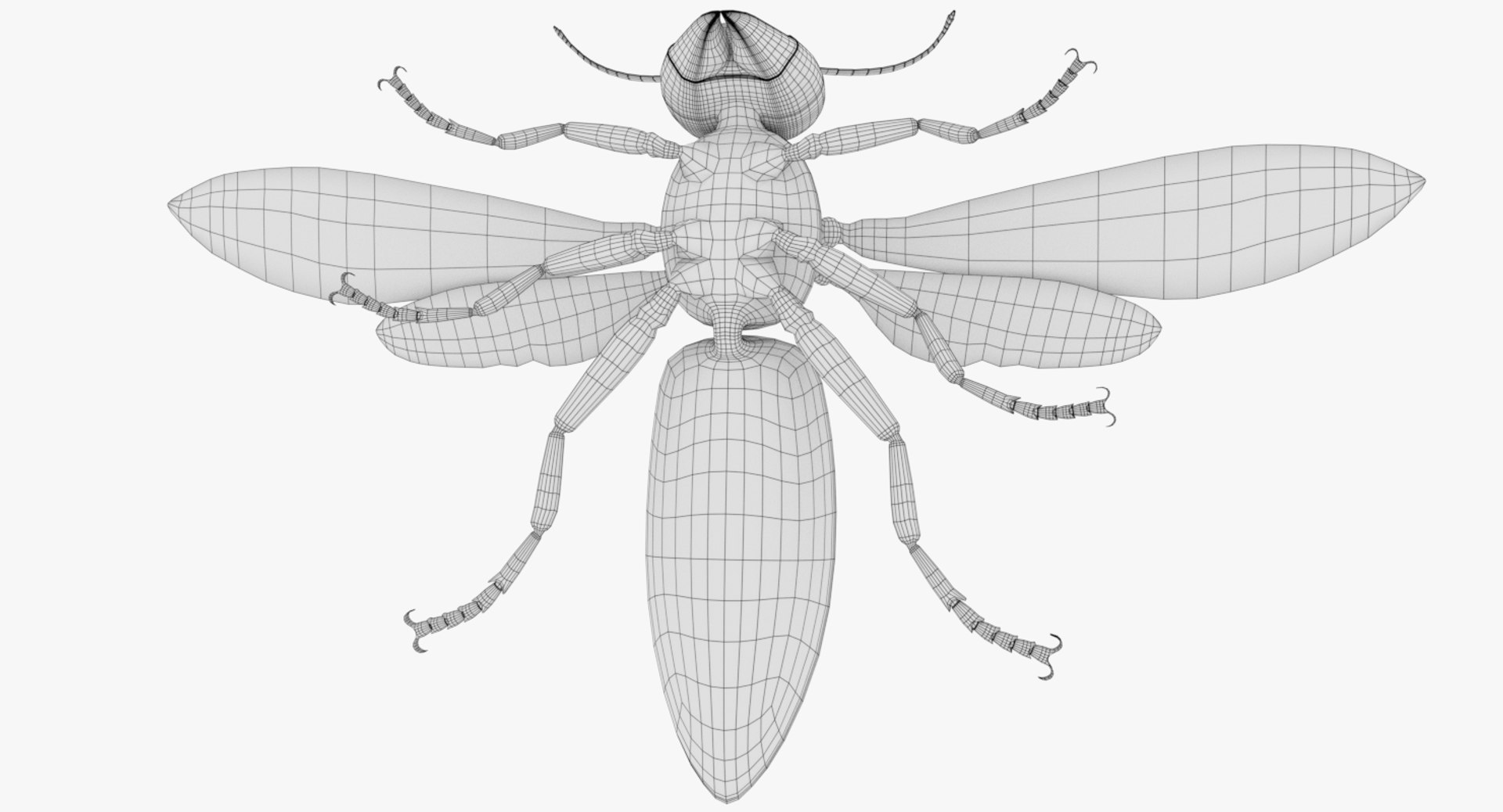 European hornet 3D model - TurboSquid 1266416