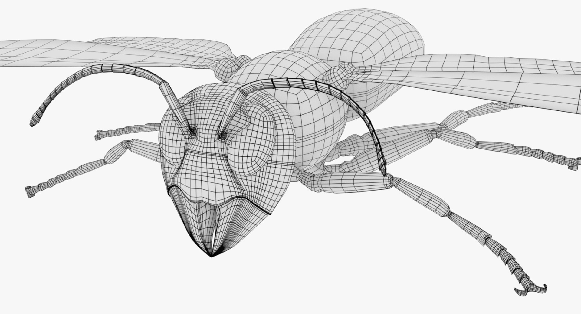 European hornet 3D model - TurboSquid 1266416