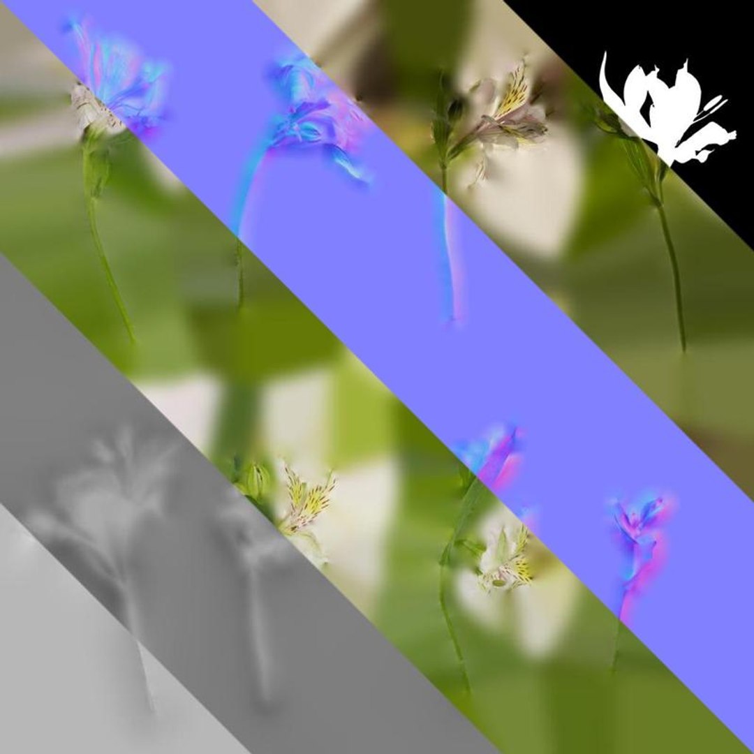 Anydrafts Alstroemeria Hybrida Atlas 07 Textures 3D - TurboSquid 2352056