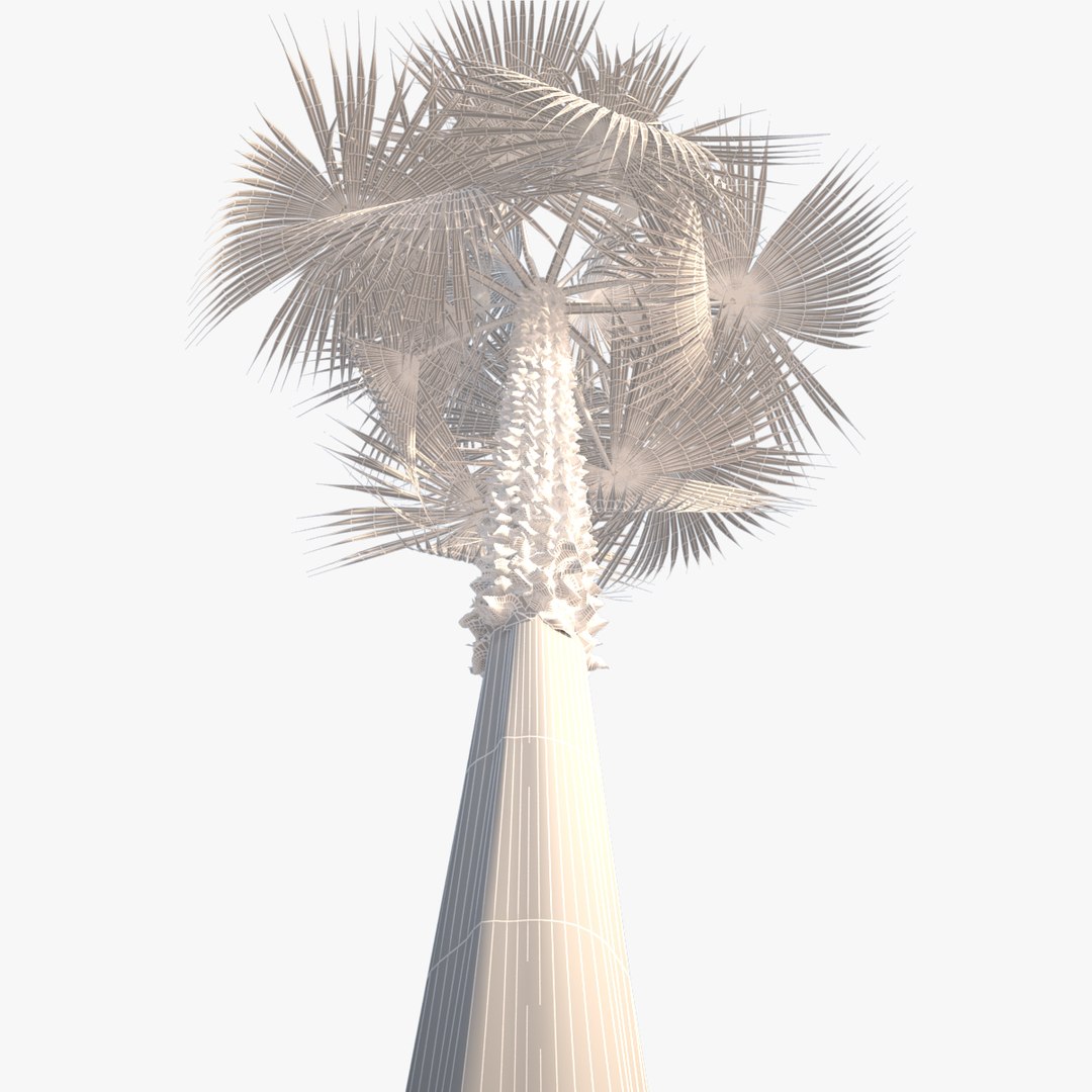 3d palm tree model