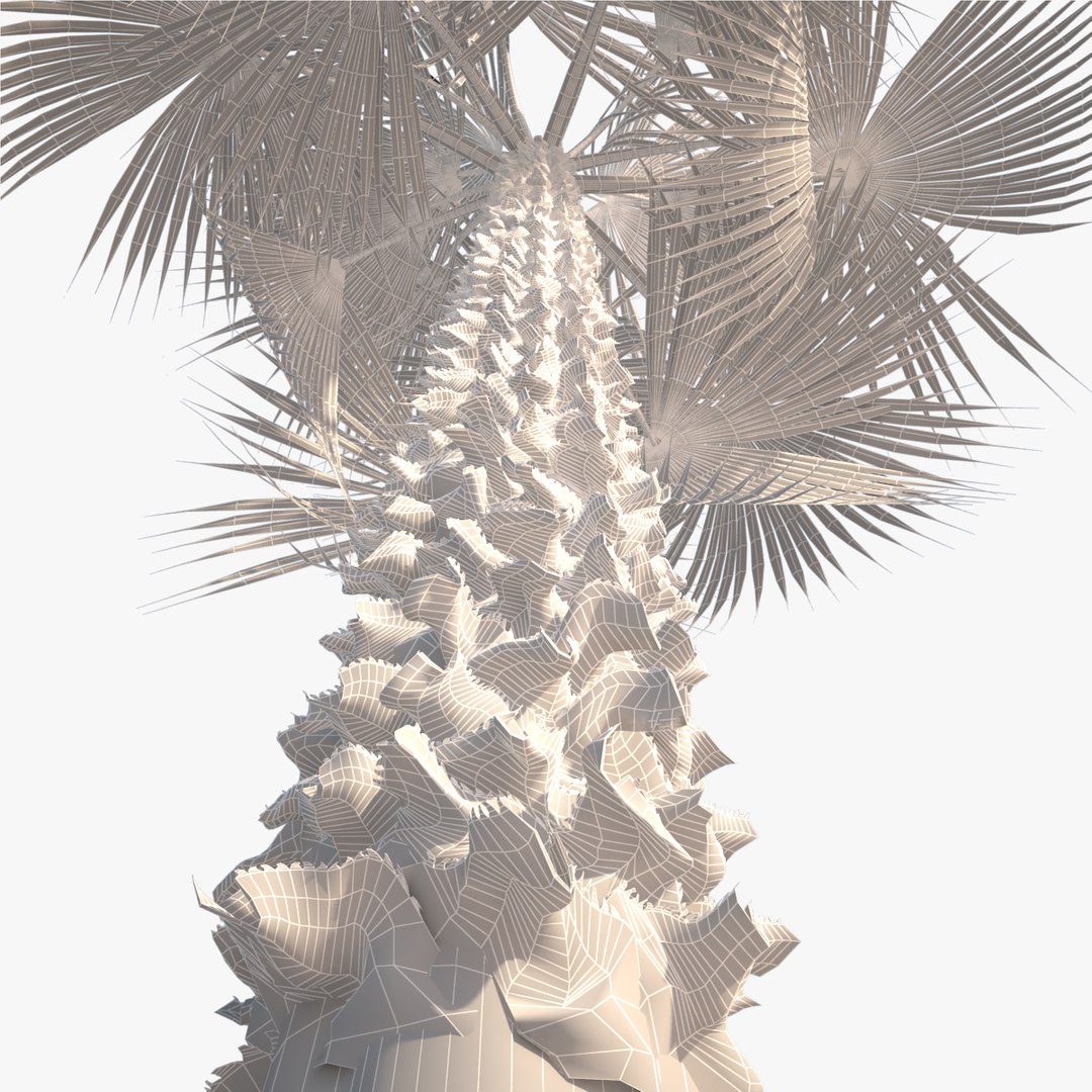 3d palm tree model