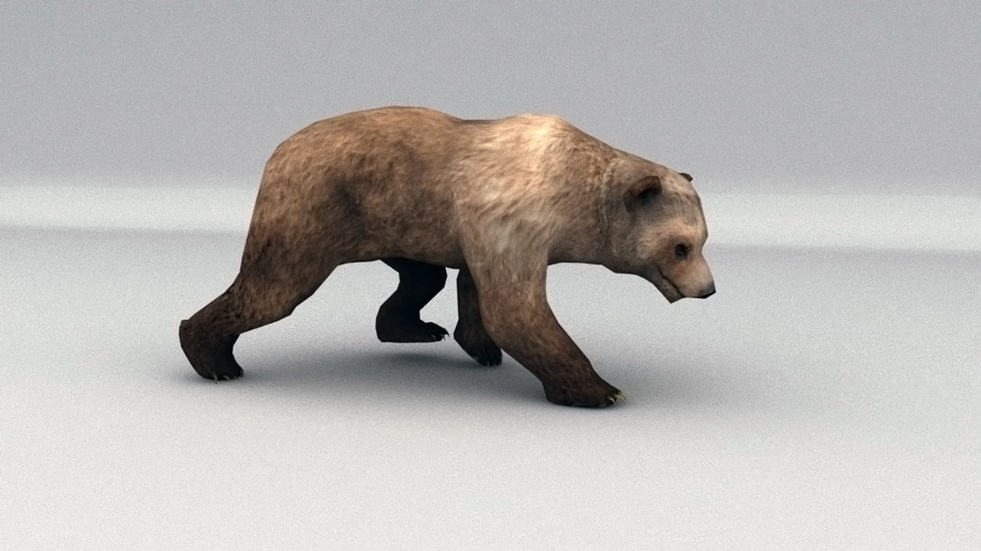rigged brown bear animation ma