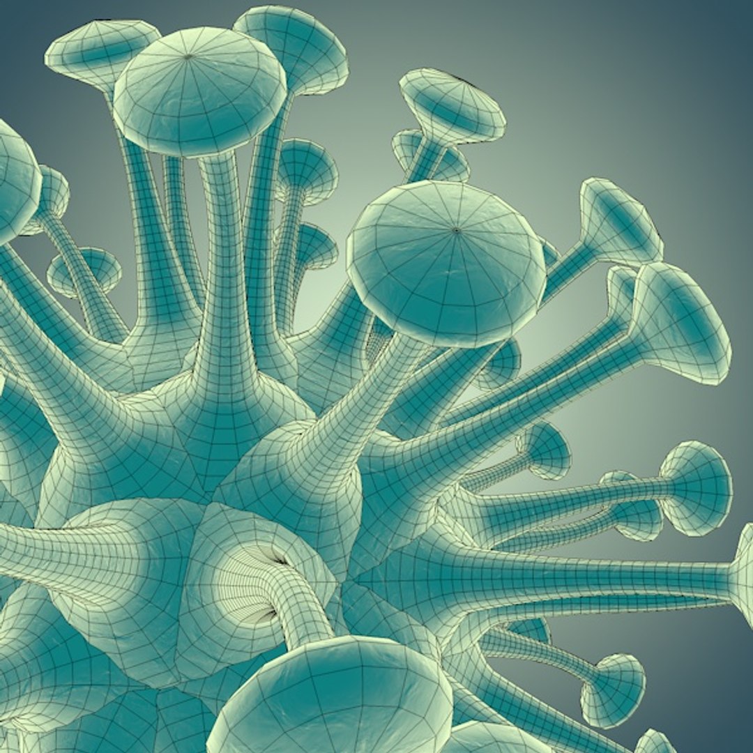 3D Model Virus Cell - TurboSquid 1265969