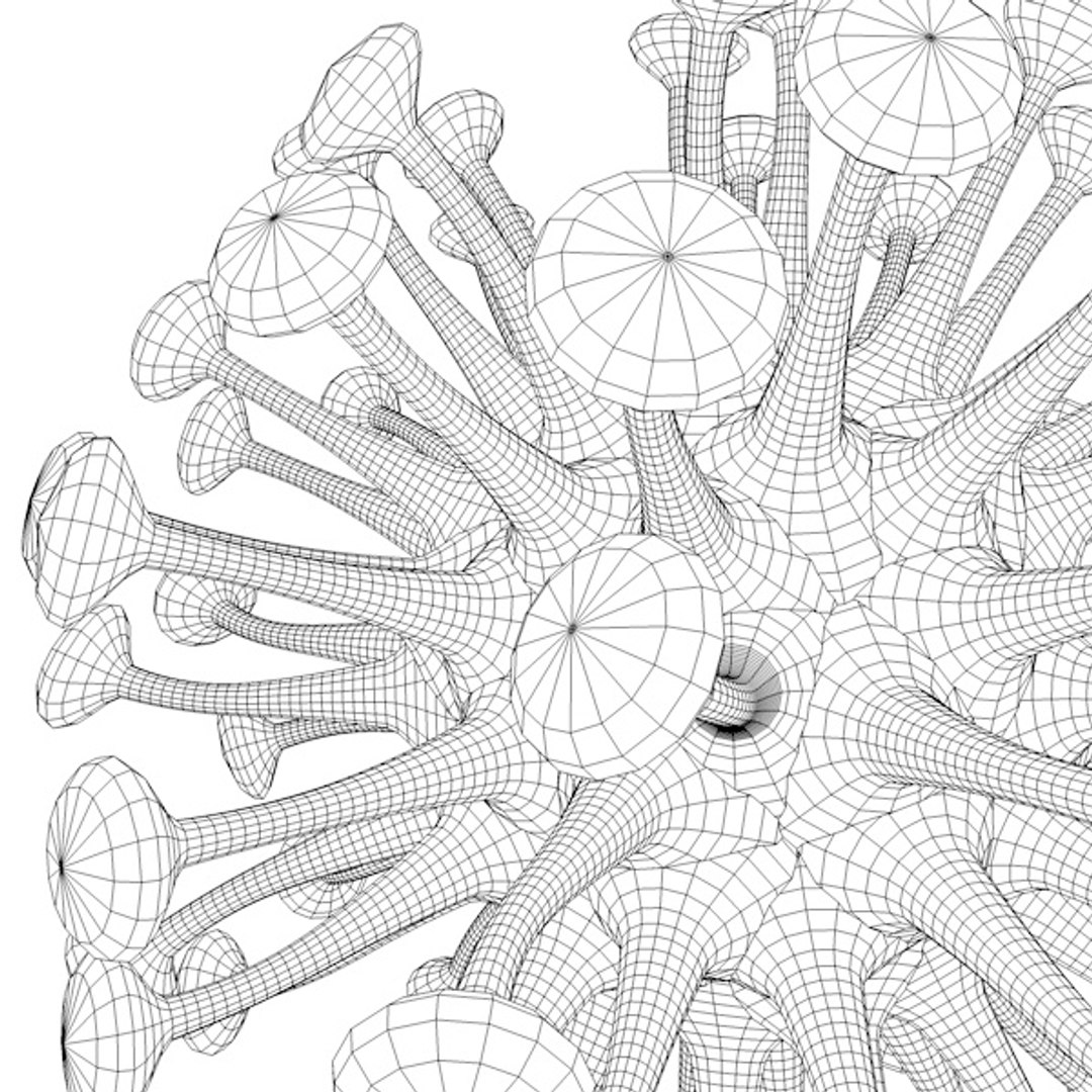 3D Model Virus Cell - TurboSquid 1265969