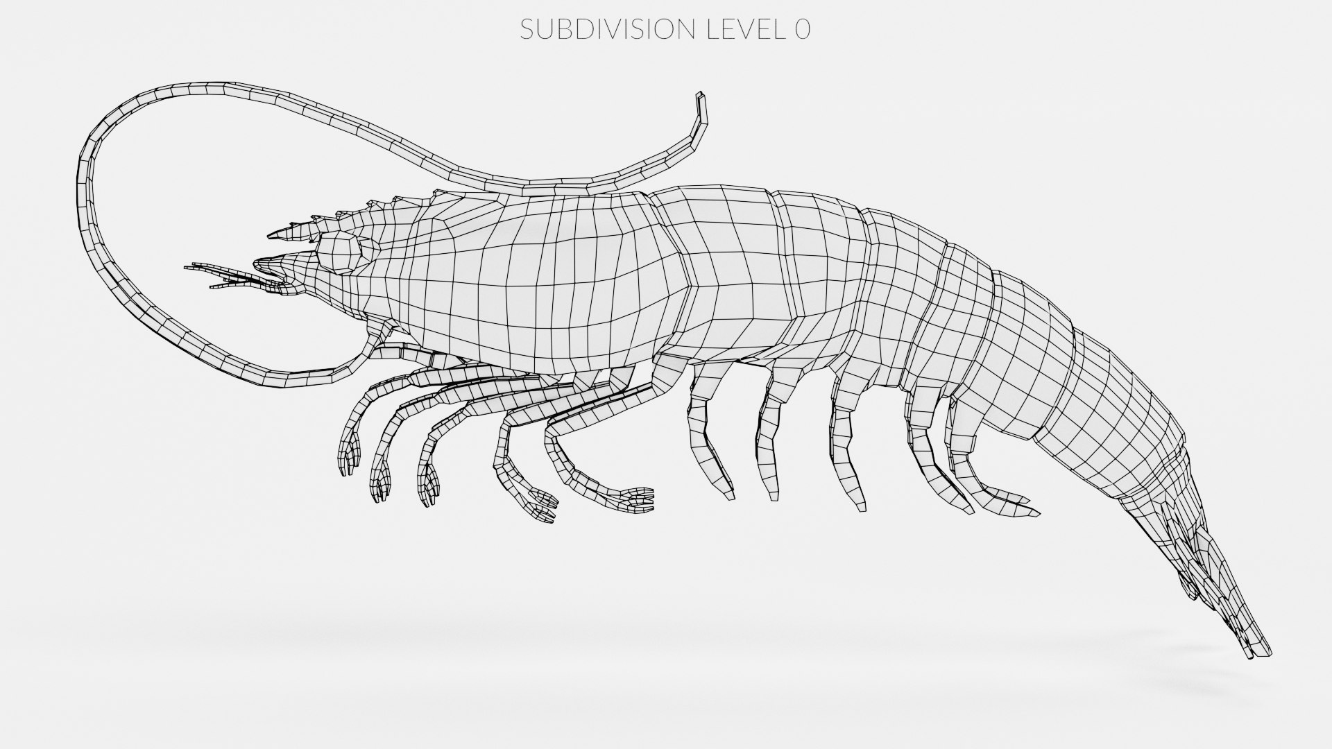 Shrimp 3D - TurboSquid 1728653