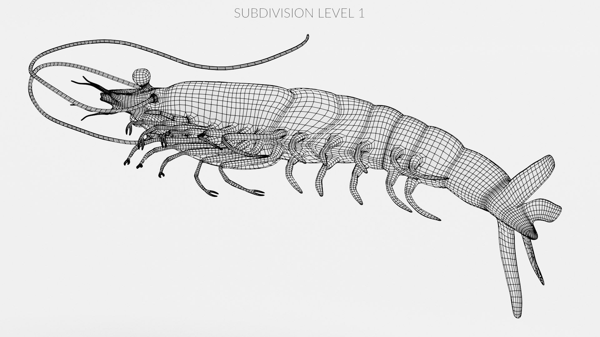 Shrimp 3D - TurboSquid 1728653