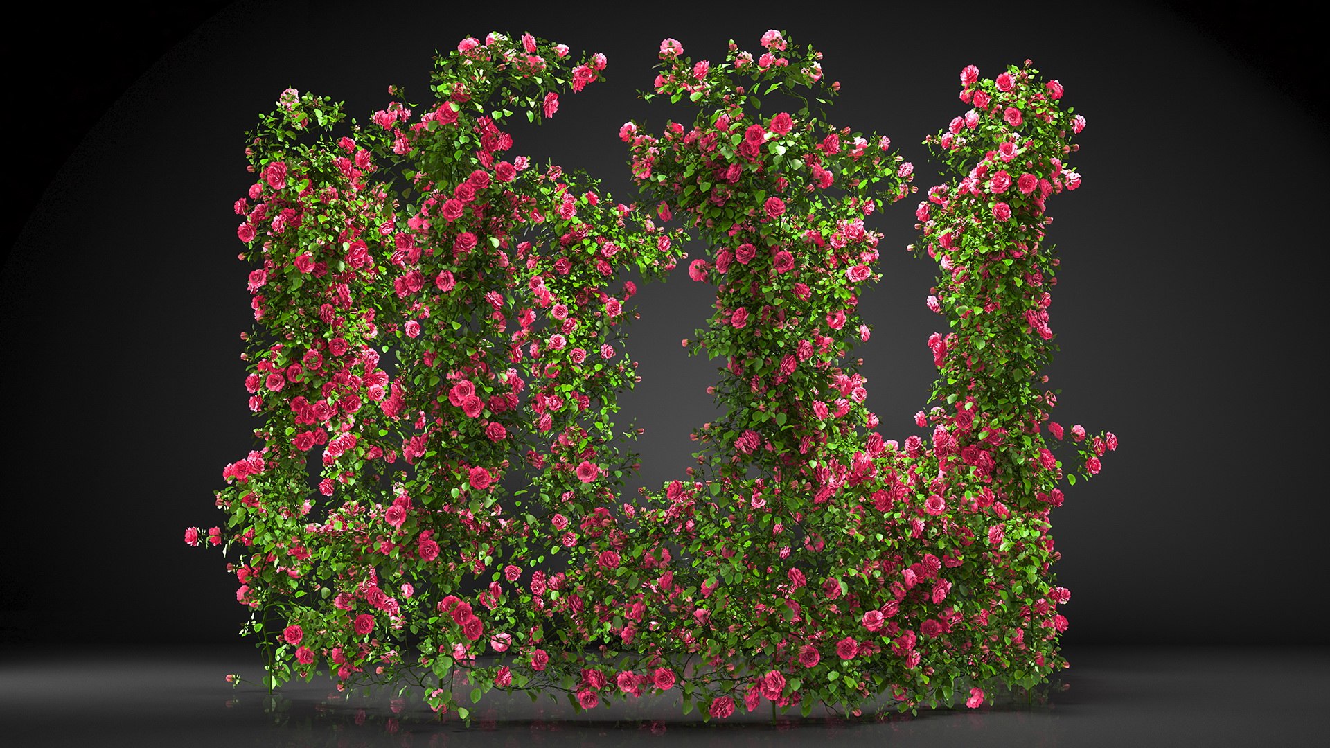 3D Pink Rose Bush Model - TurboSquid 1619918