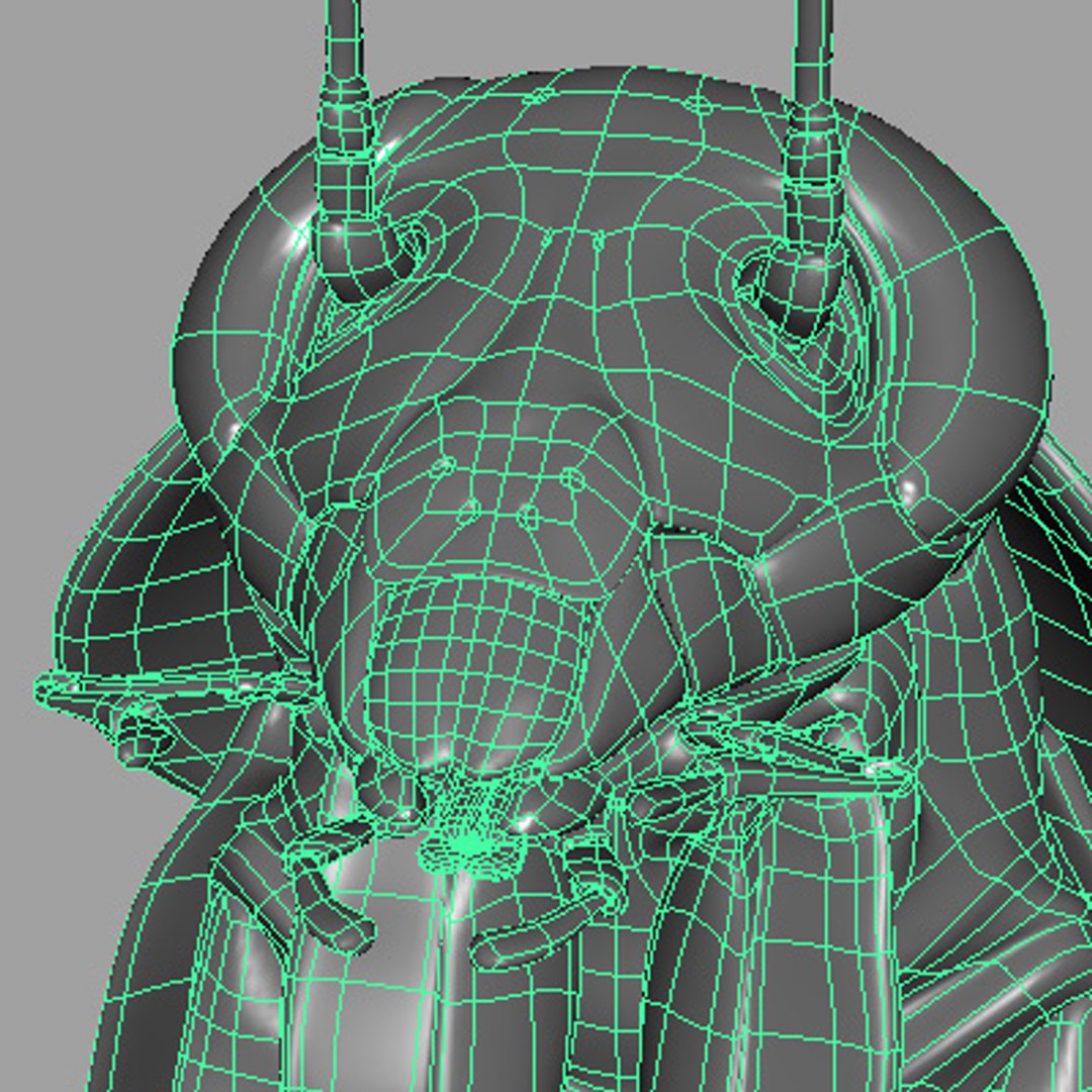 photorealistic cockroach 3d model