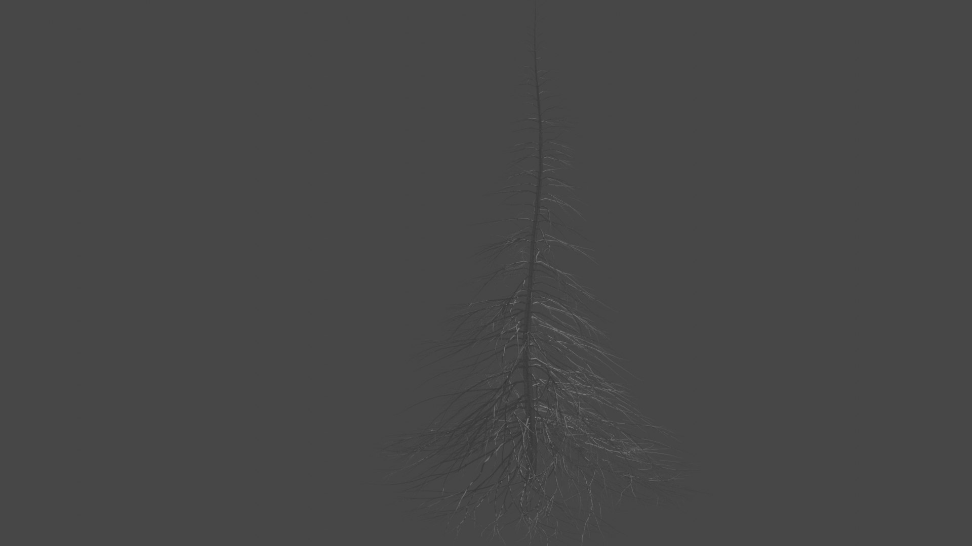 3D Model Night Tree Pack - TurboSquid 1575457