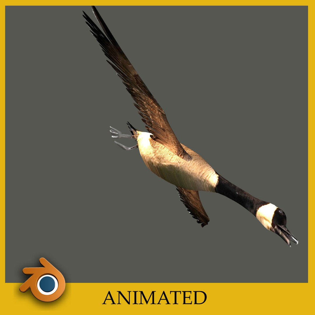 Blender Canada Goose