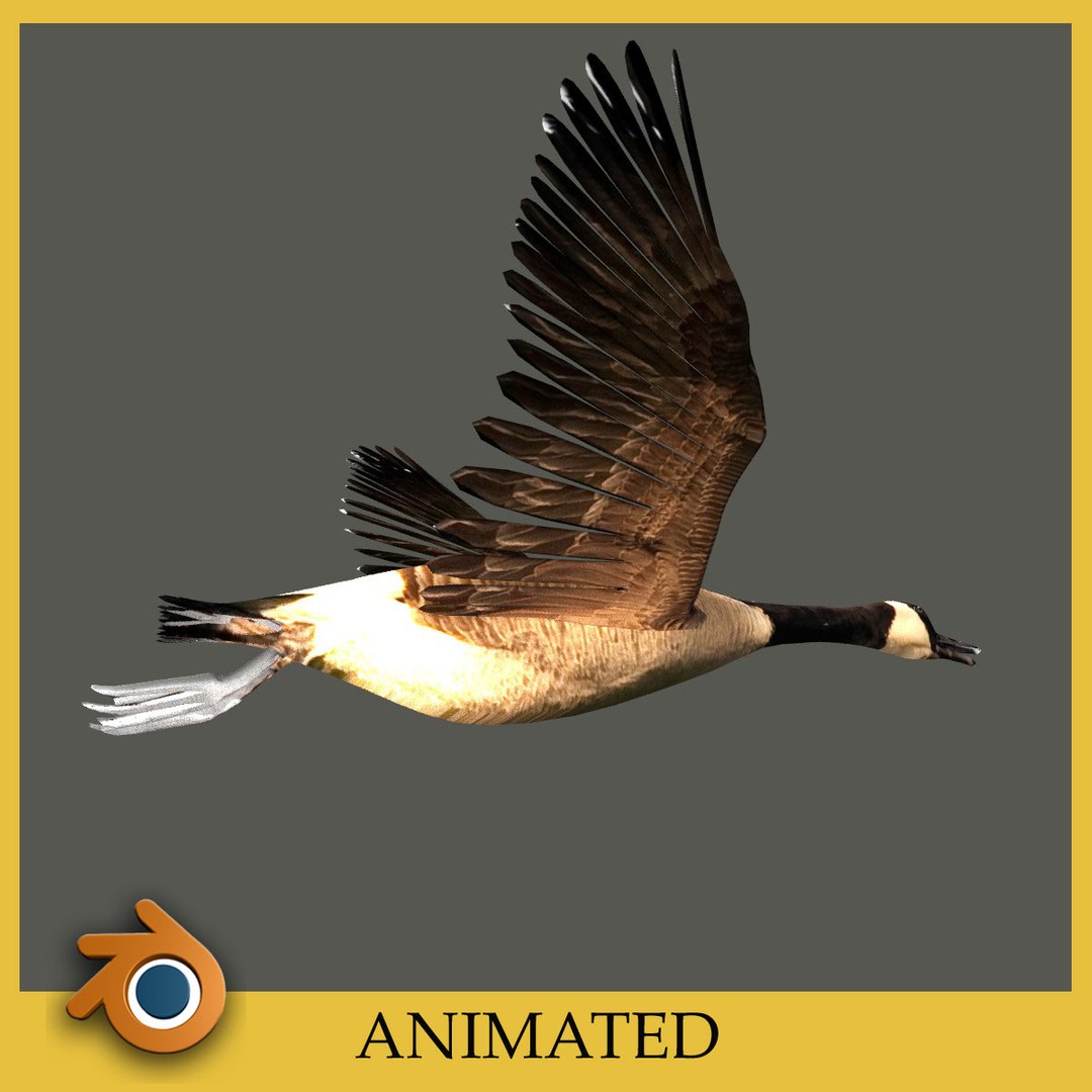 blender canada goose
