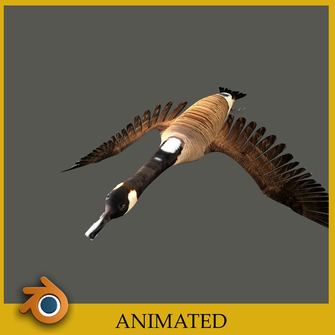 Blender Canada Goose