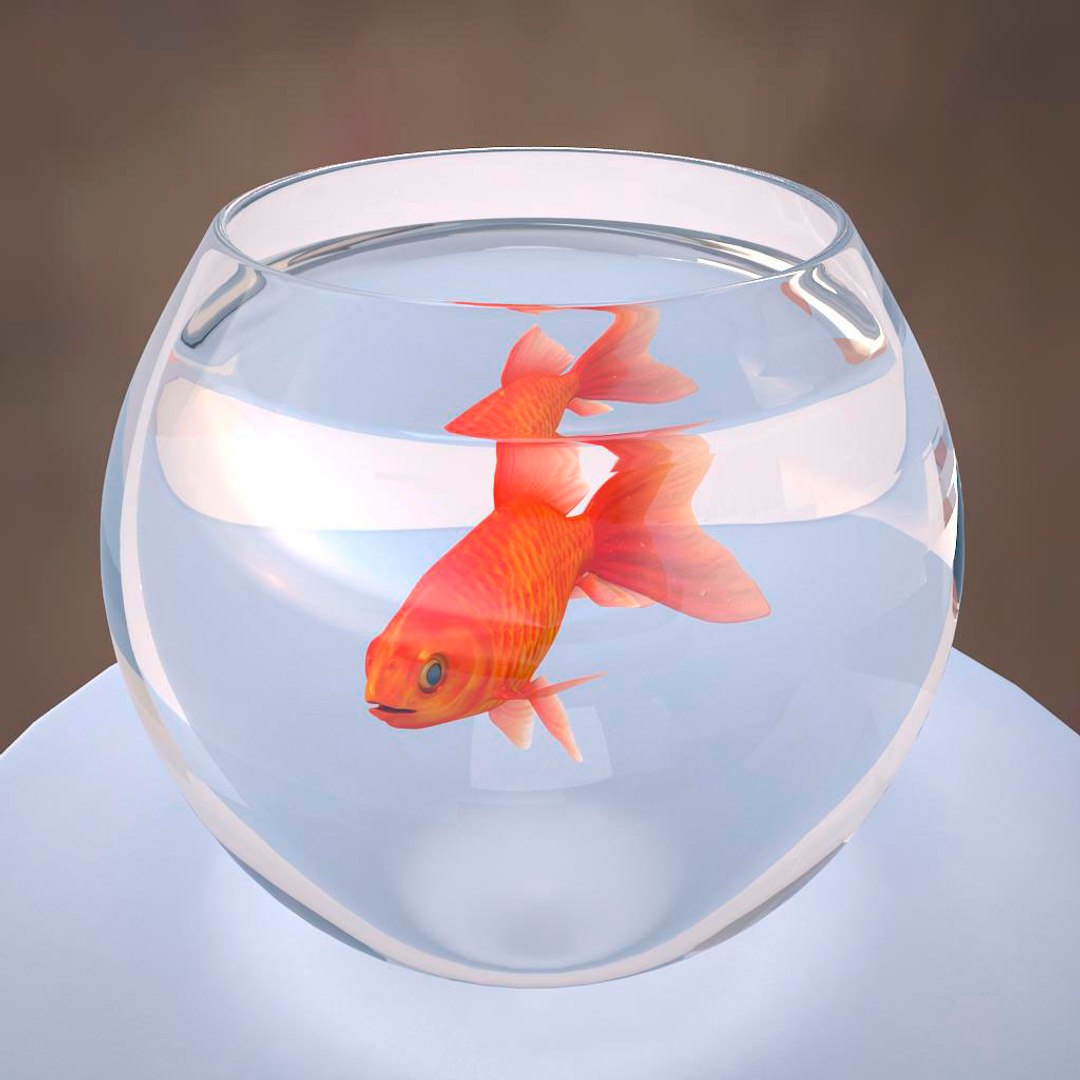 3d Fish Bowl