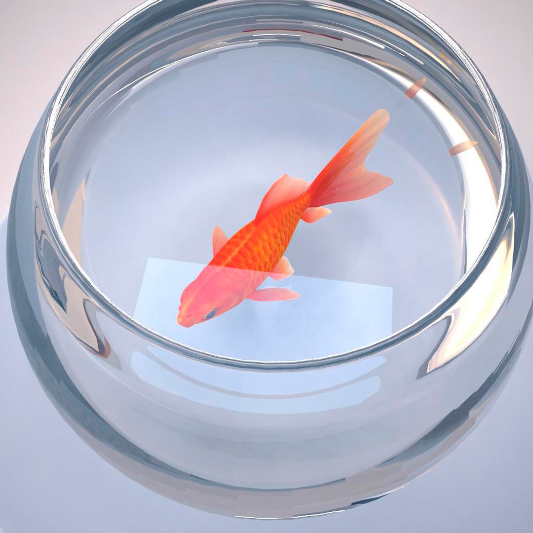 3d Fish Bowl