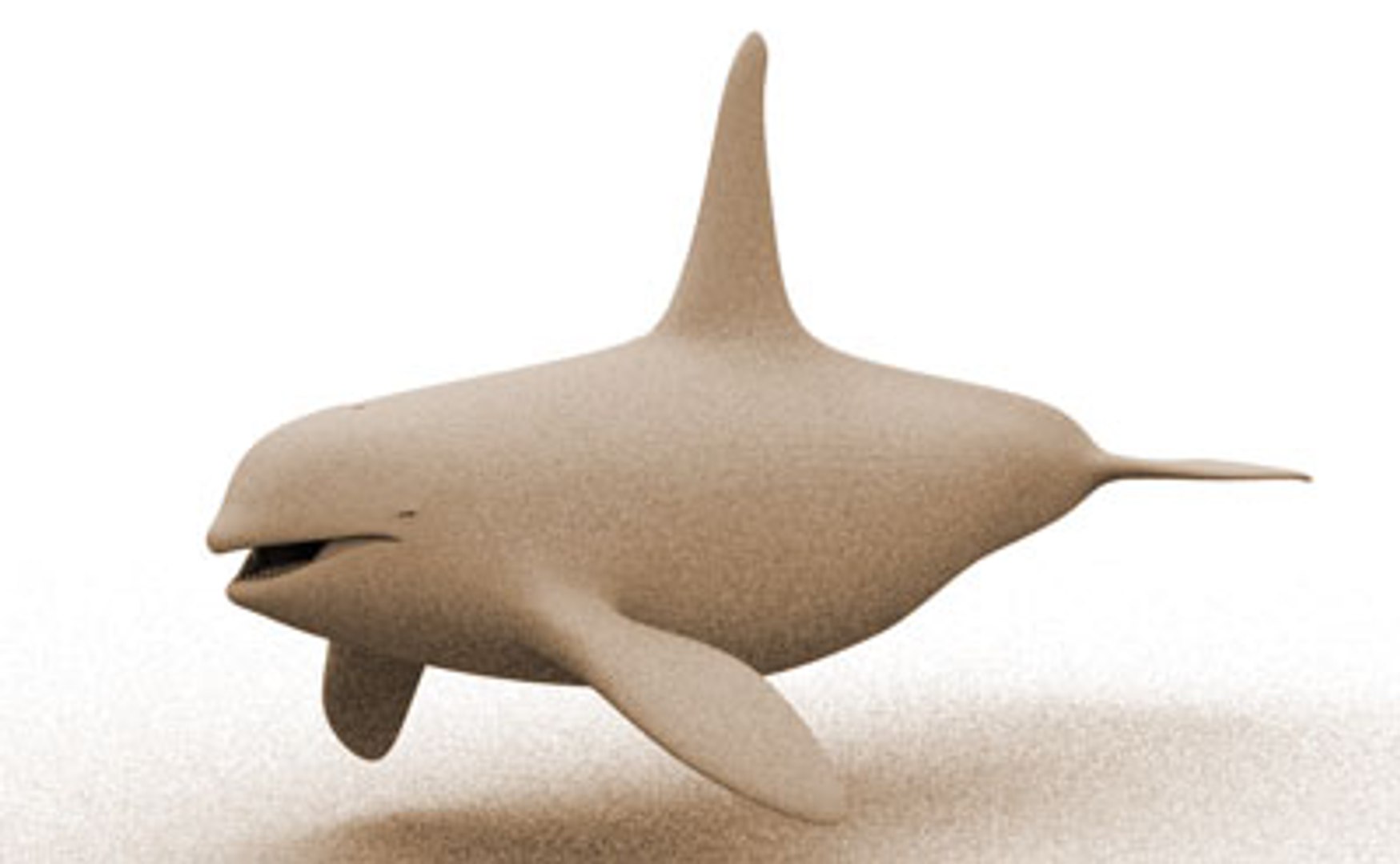 Dxf Orca
