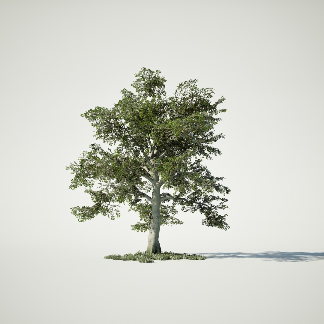 3D Game Ready Tree Set And Grass Model - TurboSquid 2149283