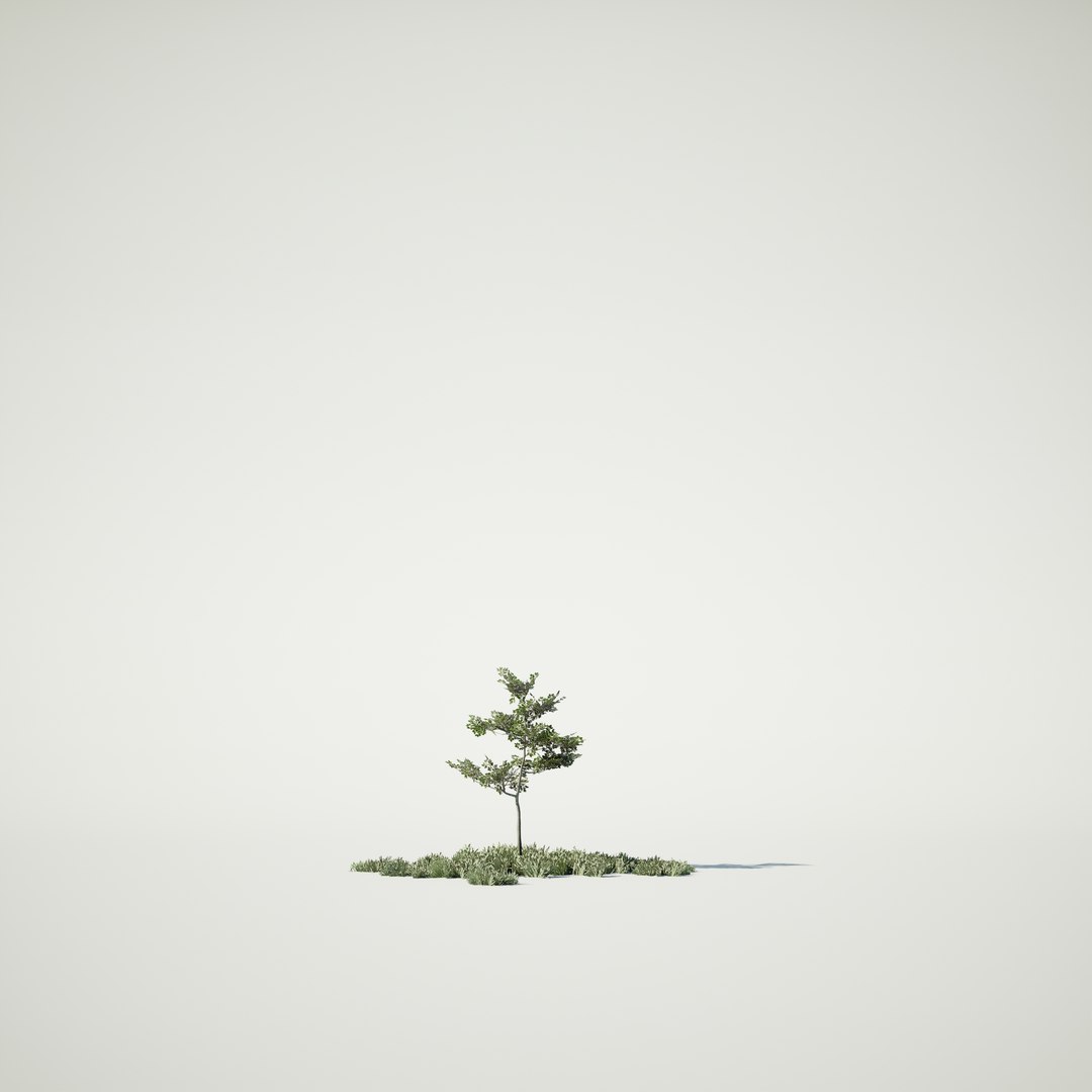 3D Game Ready Tree Set And Grass Model - TurboSquid 2149283