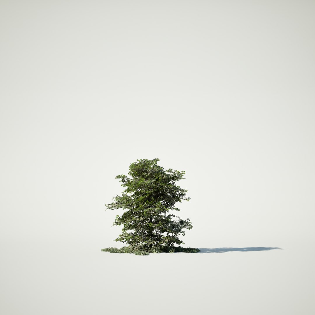 3D Game Ready Tree Set And Grass Model - TurboSquid 2149283