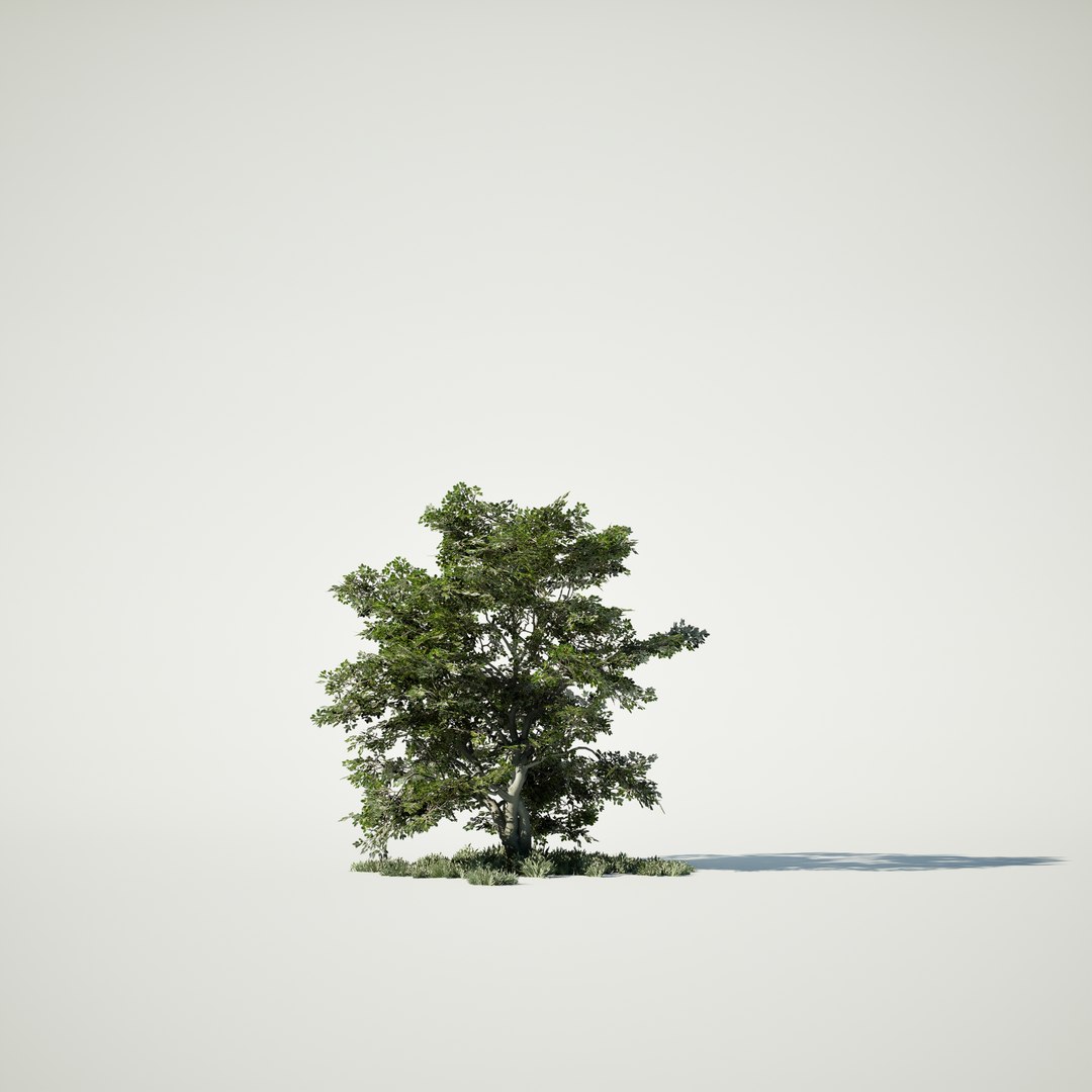 3D Game Ready Tree Set And Grass Model - TurboSquid 2149283
