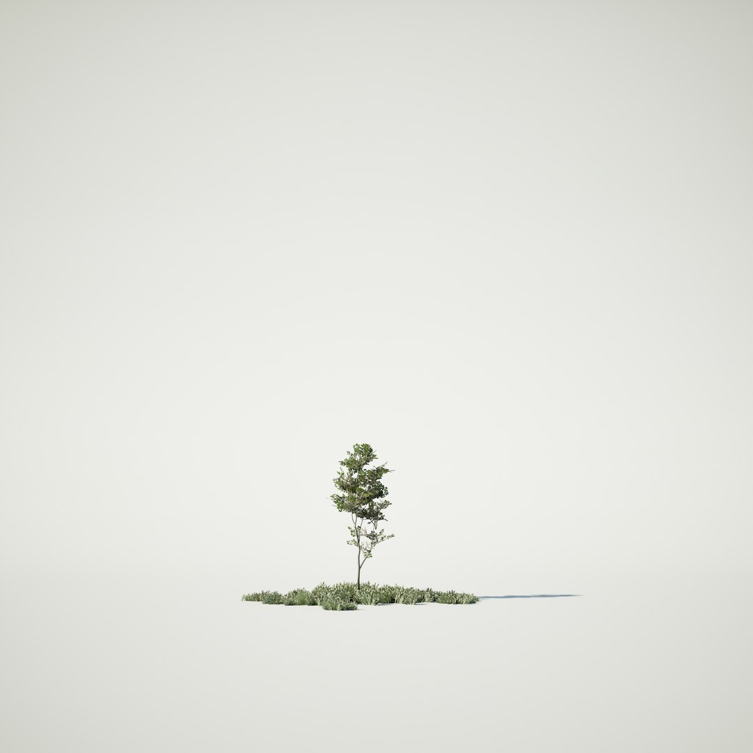 3D Game Ready Tree Set And Grass Model - TurboSquid 2149283