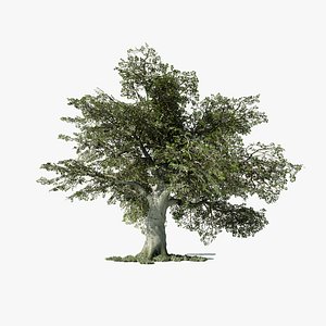 3D Tree Engine Models - Browse & Download Formats - TurboSquid