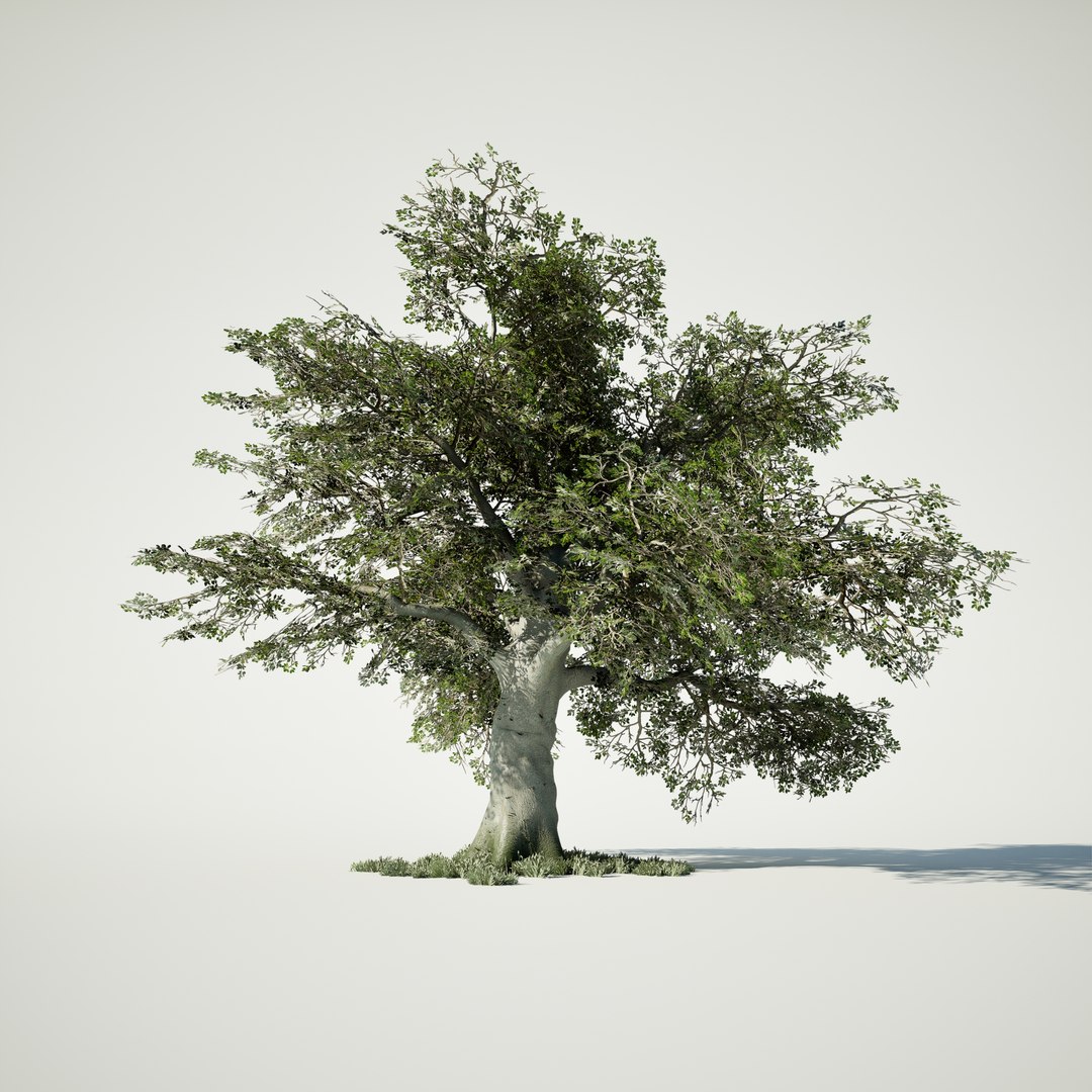 3D Game Ready Tree Set And Grass Model - TurboSquid 2149283