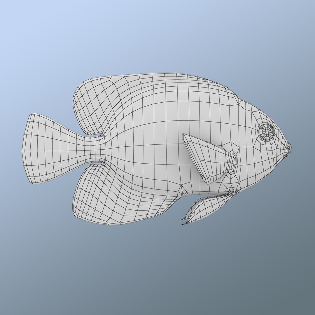 3ds Flame Angelfish