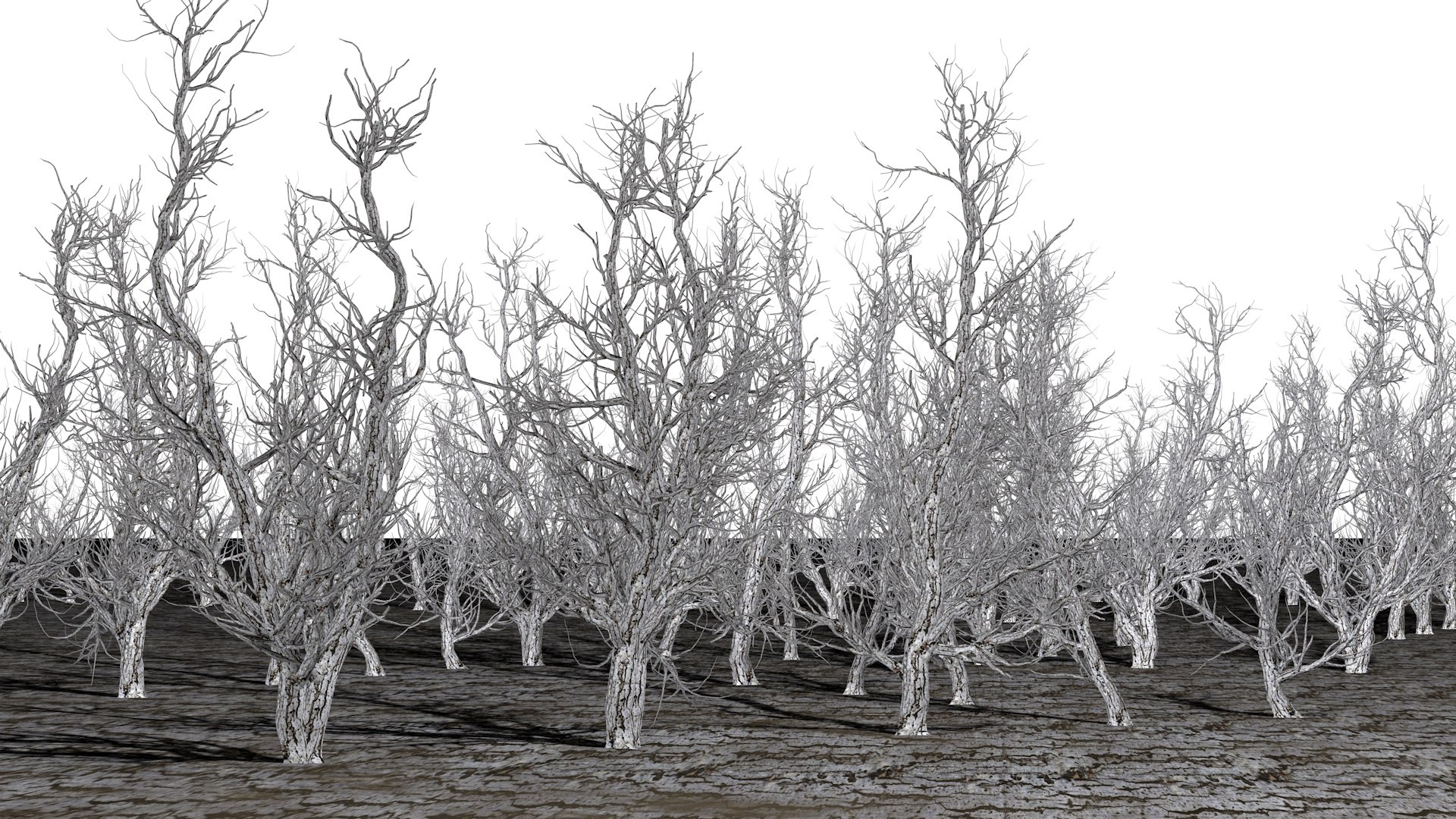 3D Root 5 Trees Low-poly - TurboSquid 1774677
