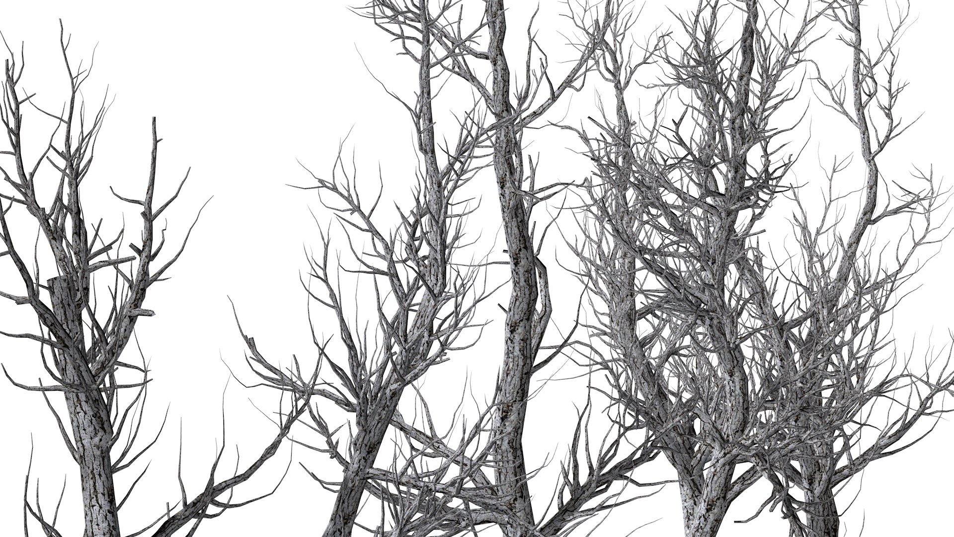 3D Root 5 Trees Low-poly - TurboSquid 1774677