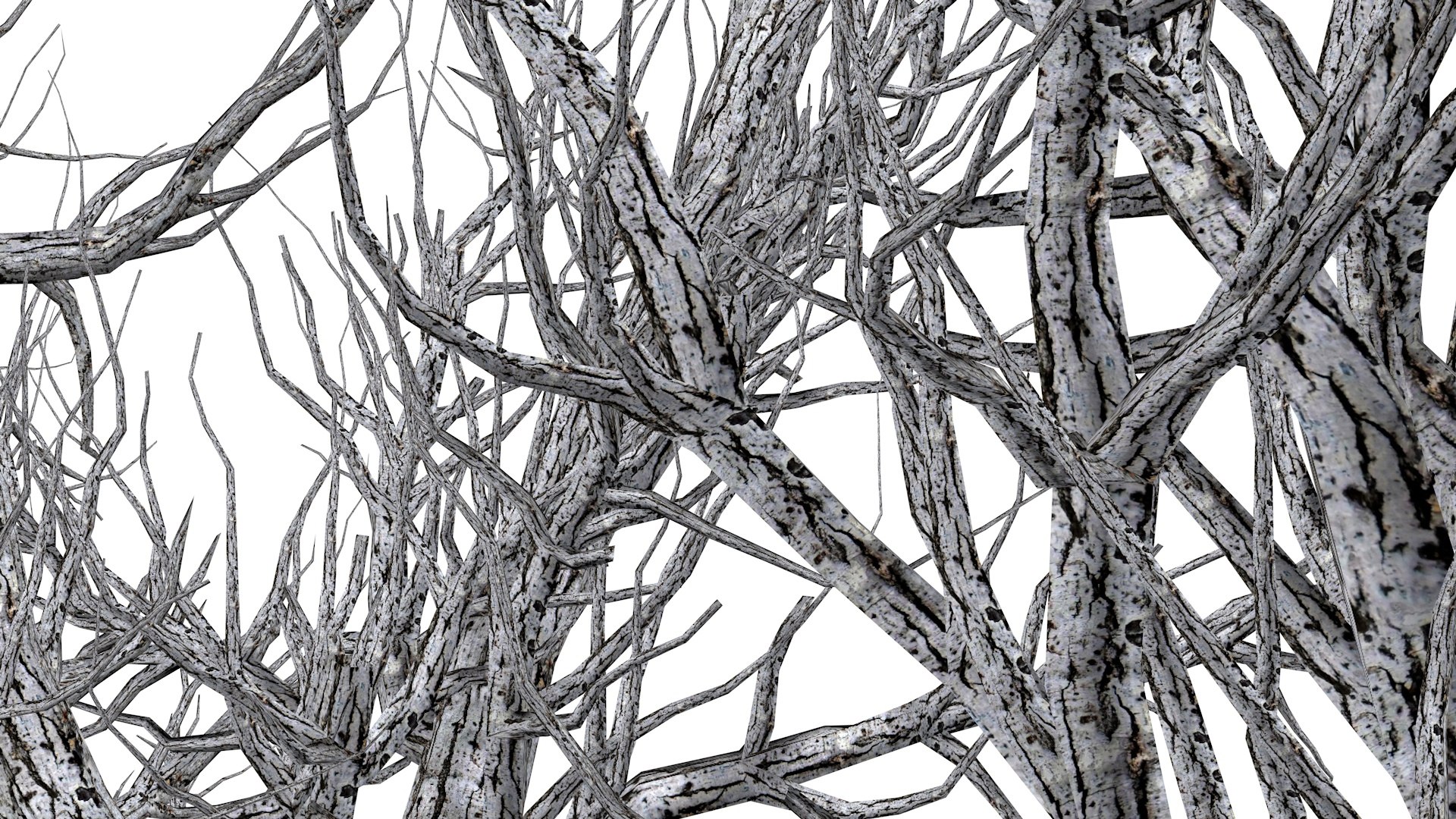 3D Root 5 Trees Low-poly - TurboSquid 1774677