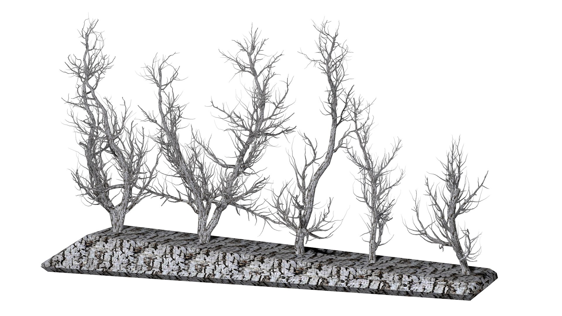 3D Root 5 Trees Low-poly - TurboSquid 1774677