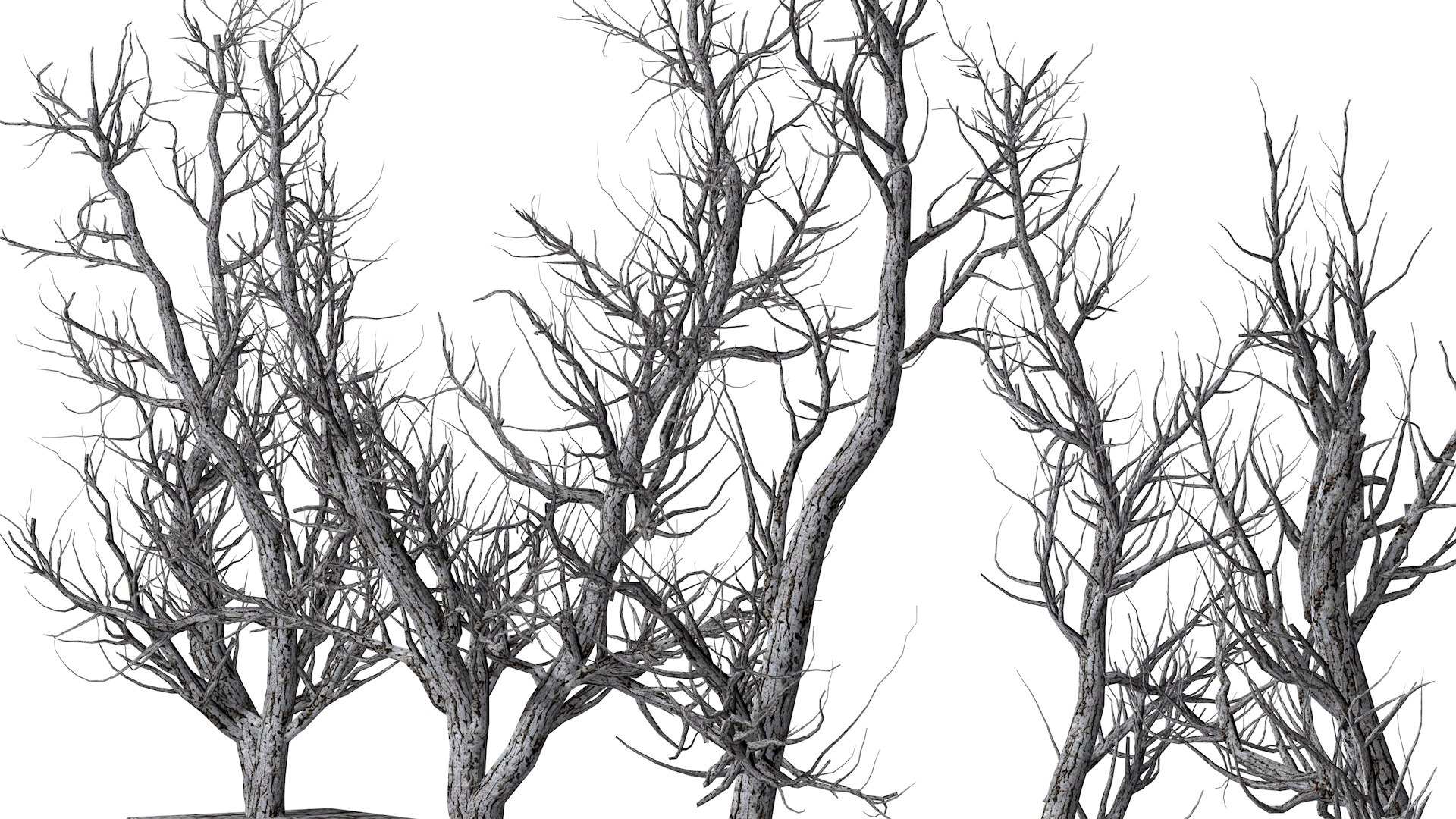 3D Root 5 Trees Low-poly - TurboSquid 1774677