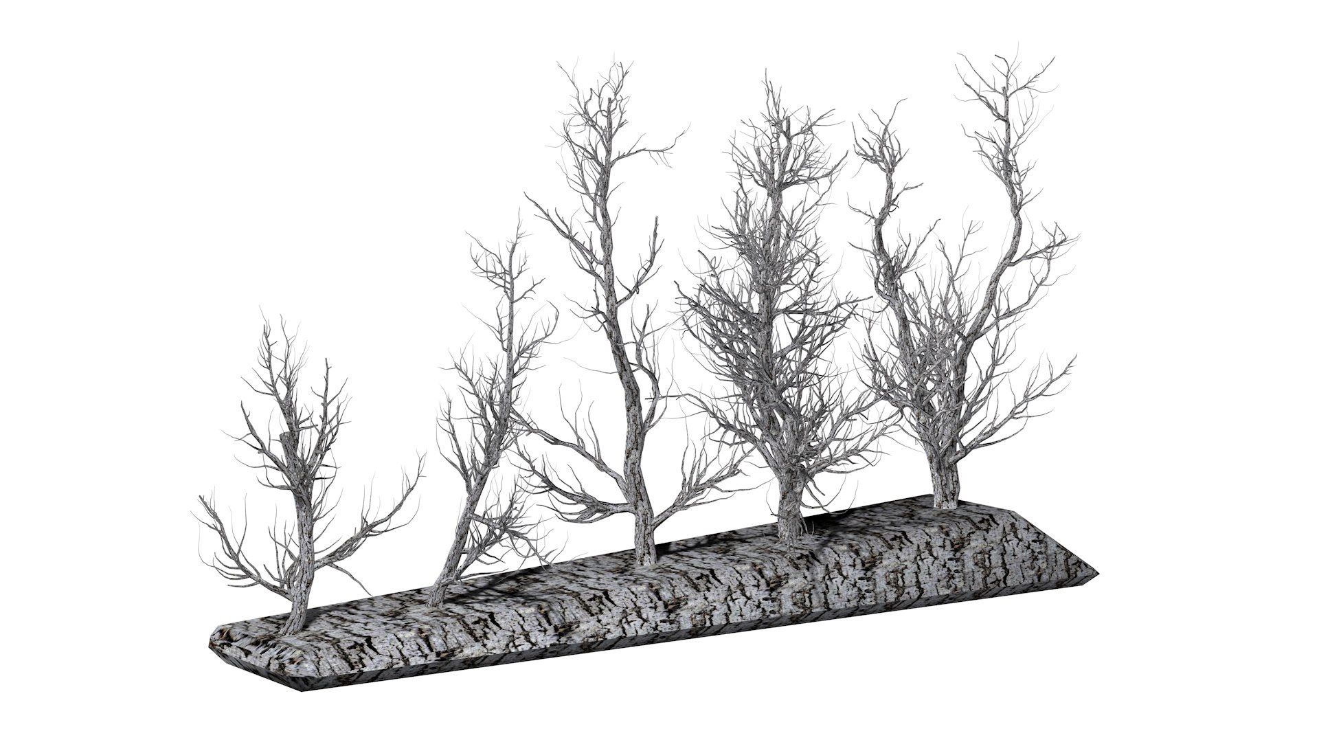 3D Root 5 Trees Low-poly - TurboSquid 1774677
