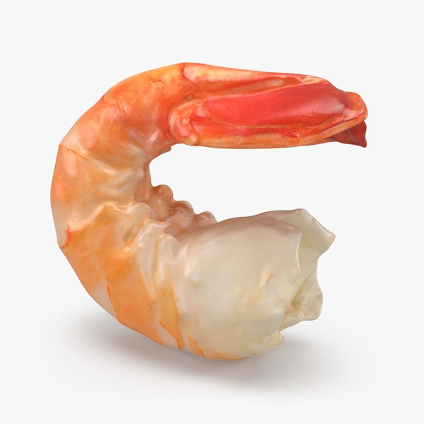 3D Shrimp Models | TurboSquid