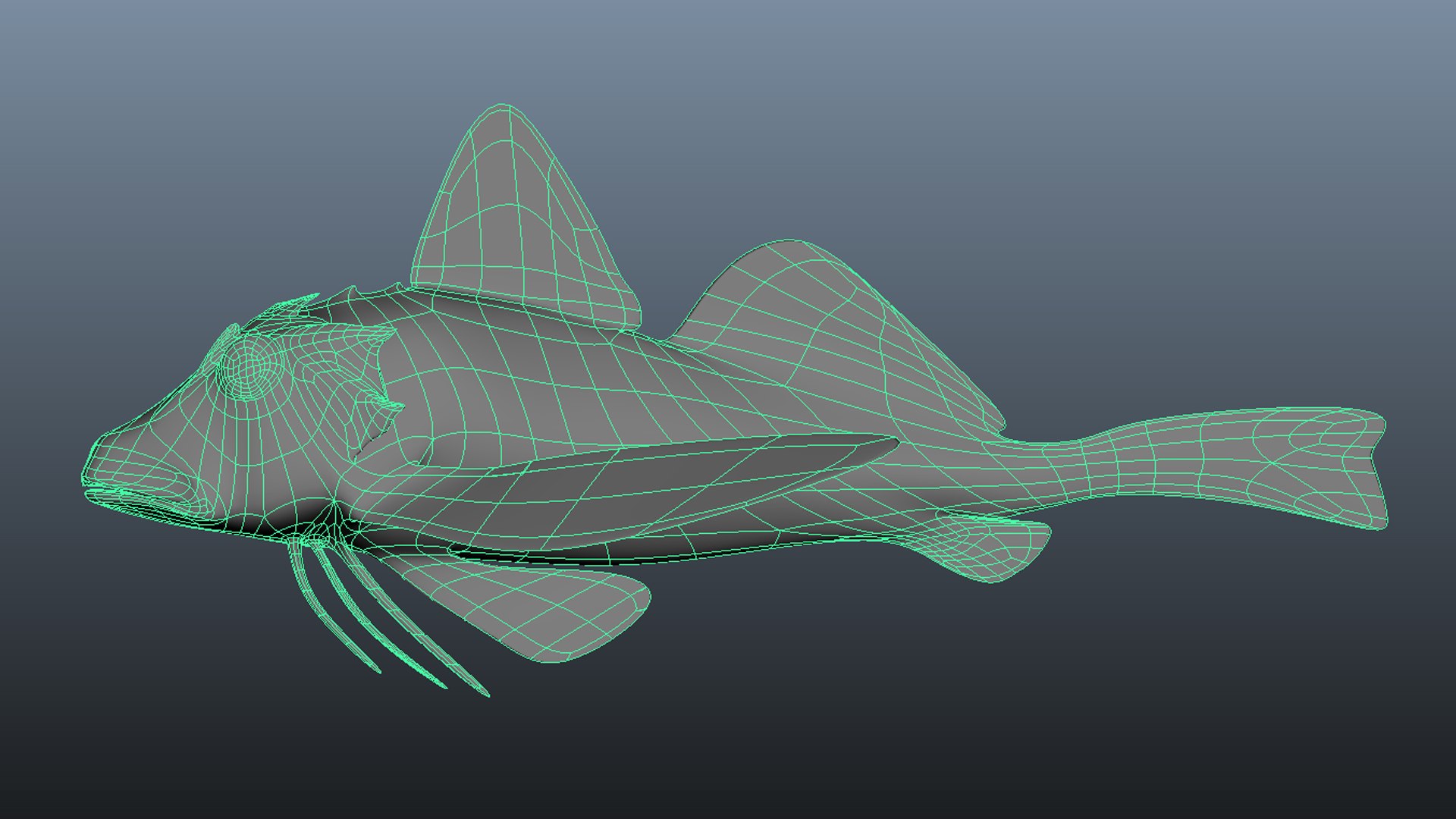 3D Saltwater Fish Collection 21 - TurboSquid 1837487