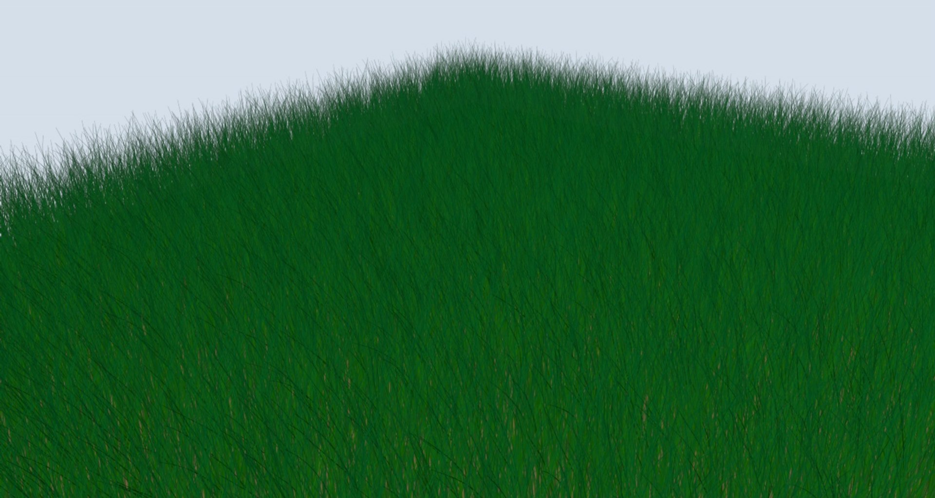 3d Grass Model
