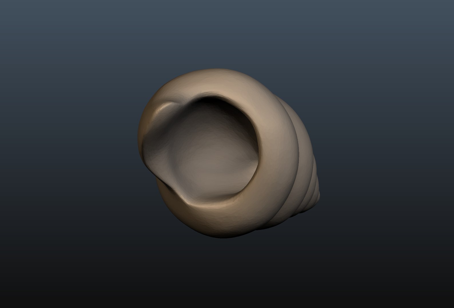 Seashell 3D Print 3D Model - TurboSquid 1874602