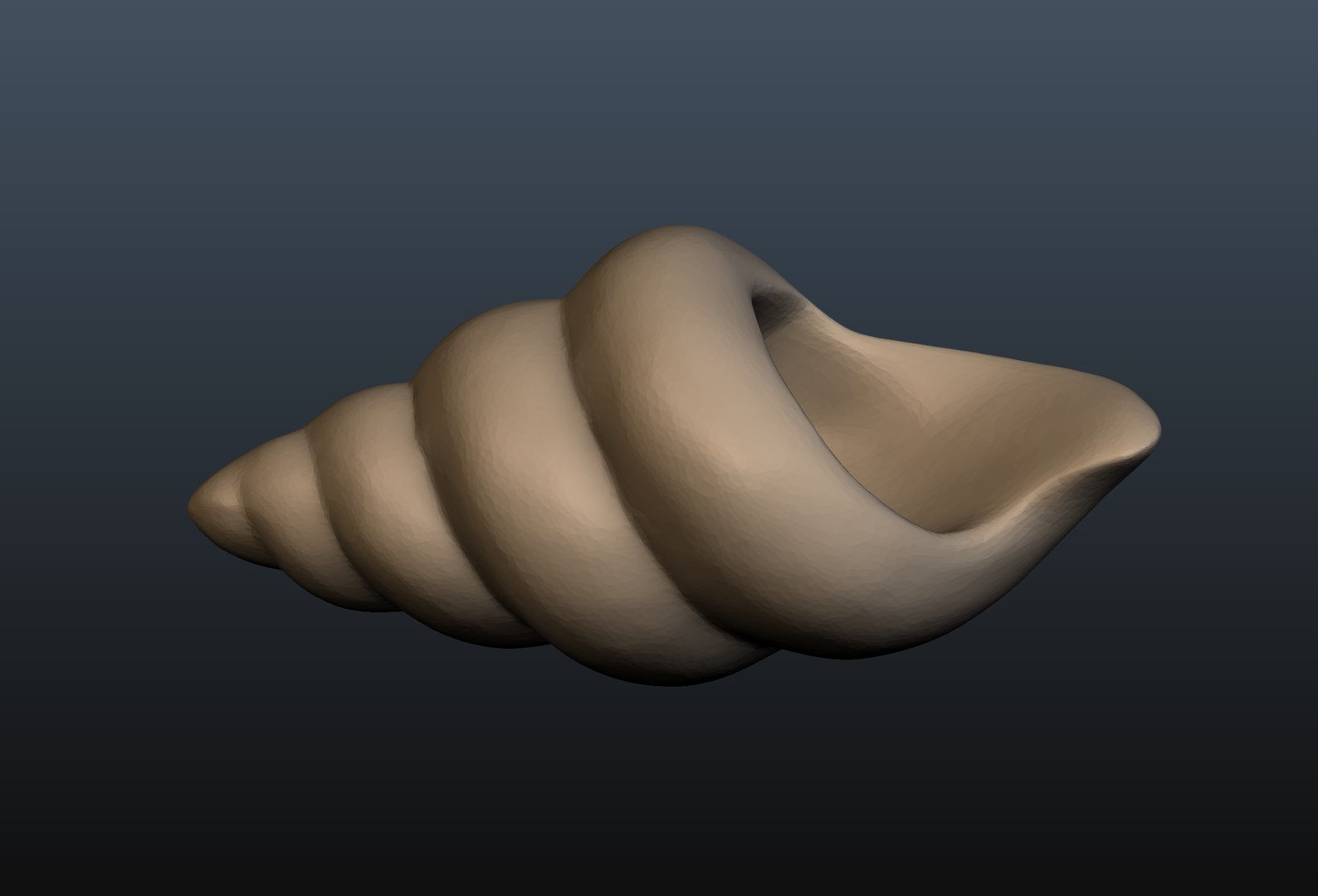 Seashell 3D Print 3D Model - TurboSquid 1874602