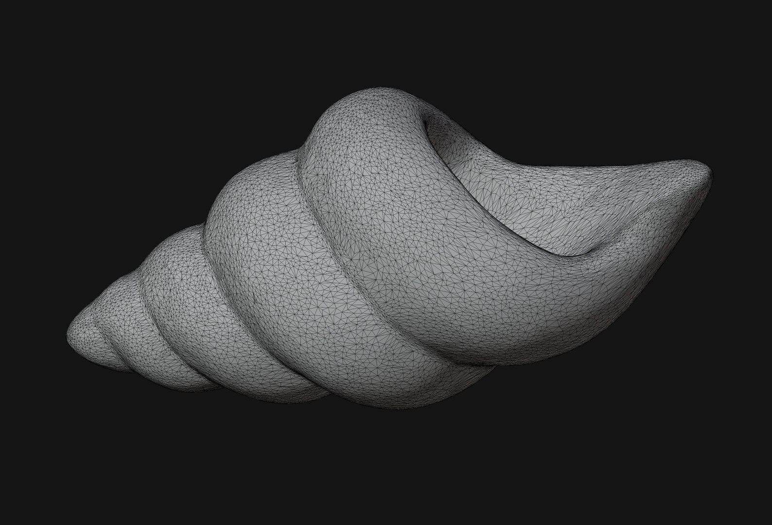 Seashell 3D Print 3D Model - TurboSquid 1874602