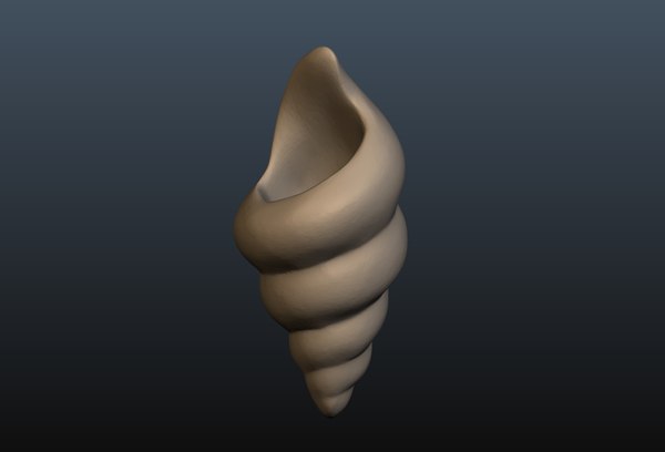 Seashell 3D print 3D model - TurboSquid 1874602
