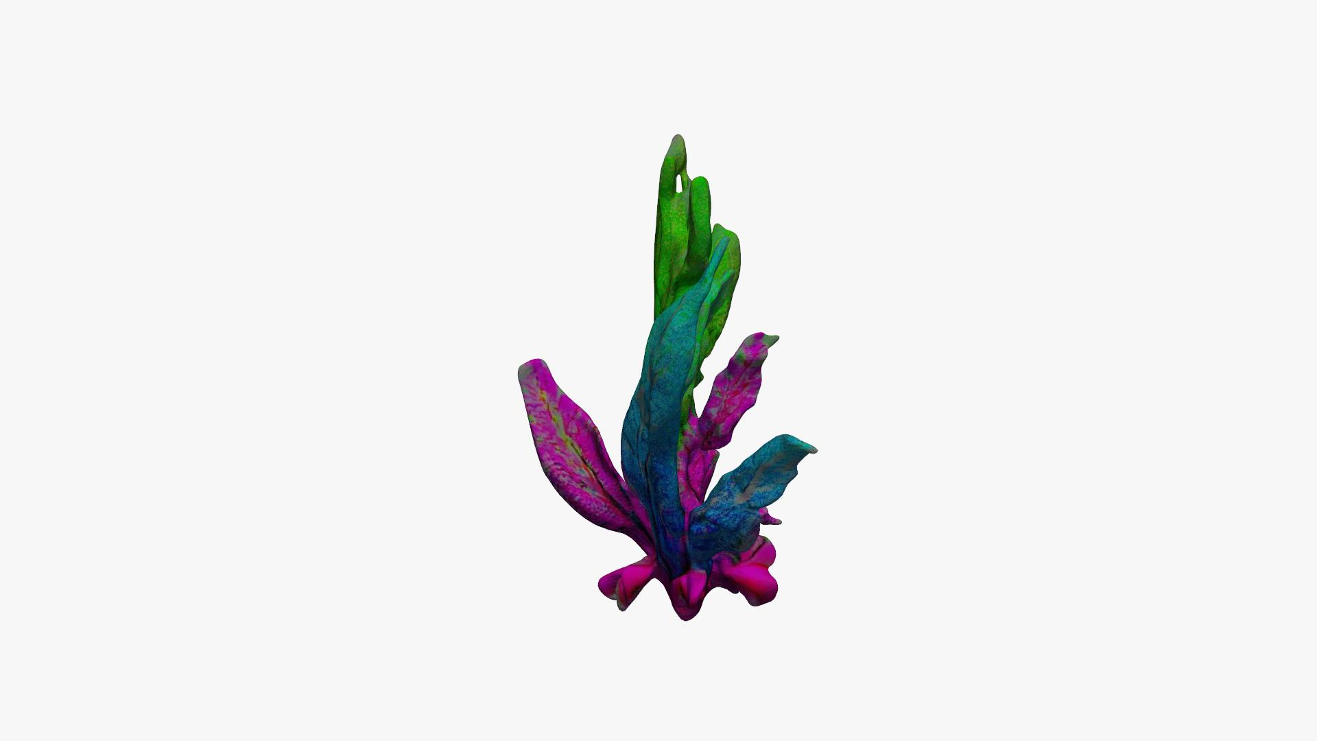 Coral Reef Flower 3D Model - TurboSquid 2221425
